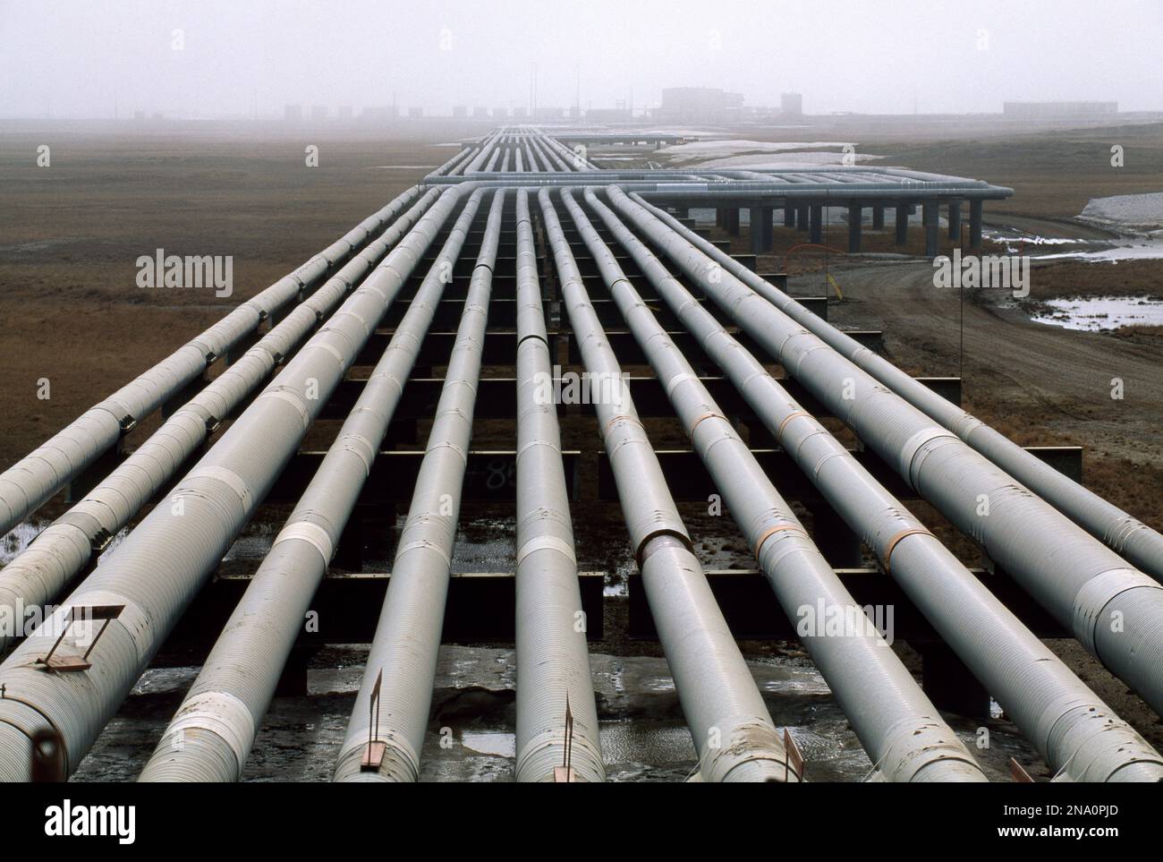 Trans-Alaska pipelines at an oil field in Alaska's North Slope; North ...