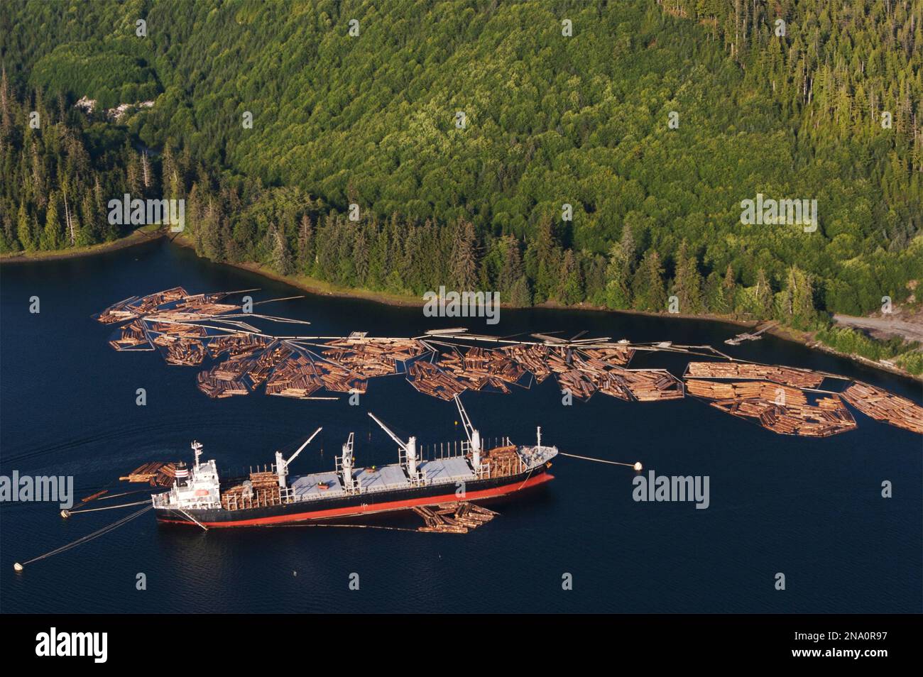 Floating logs and loaded cargo hi-res stock photography and images - Alamy