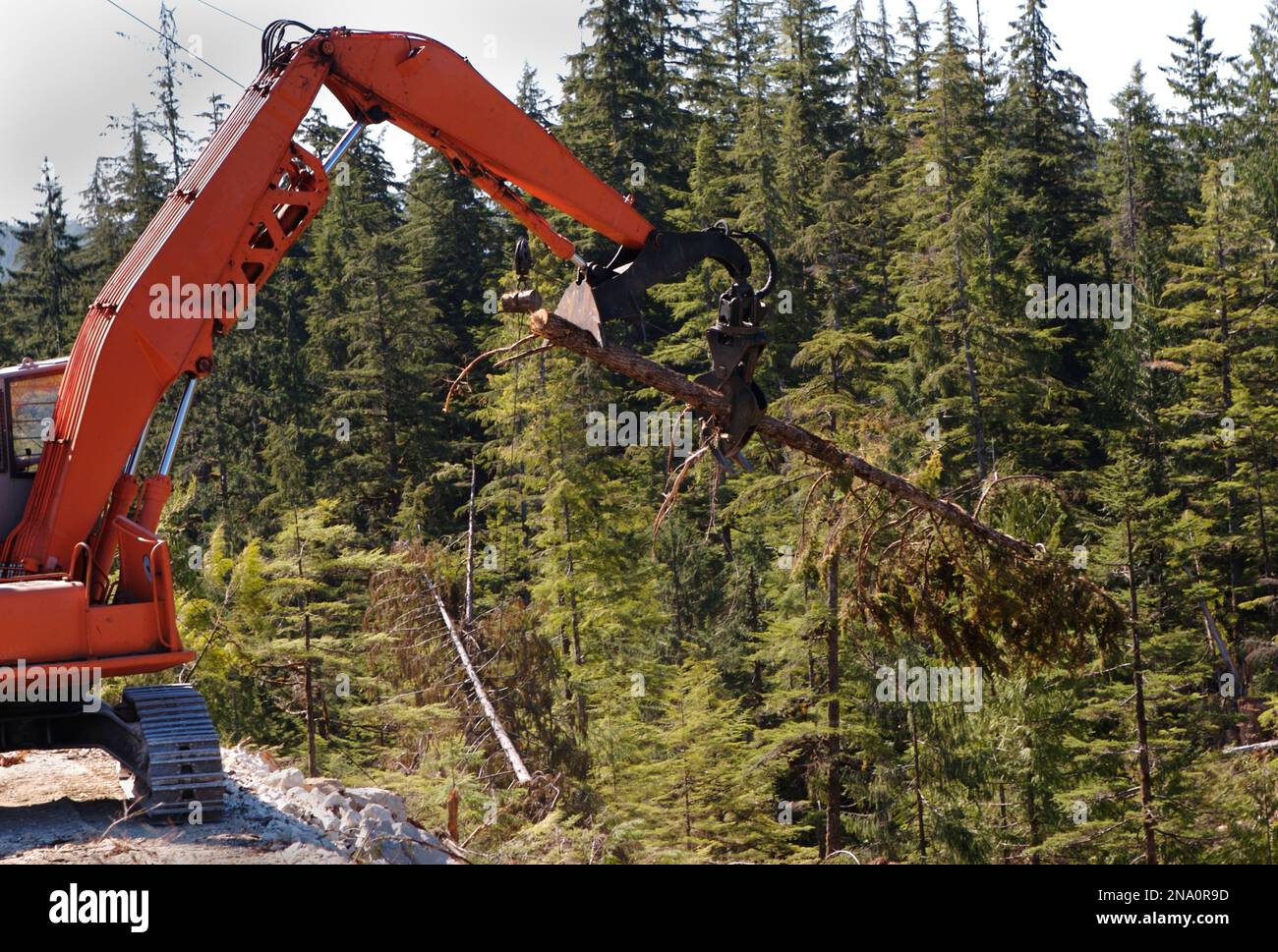 Alaska forestry logging timber hi-res stock photography and images - Alamy