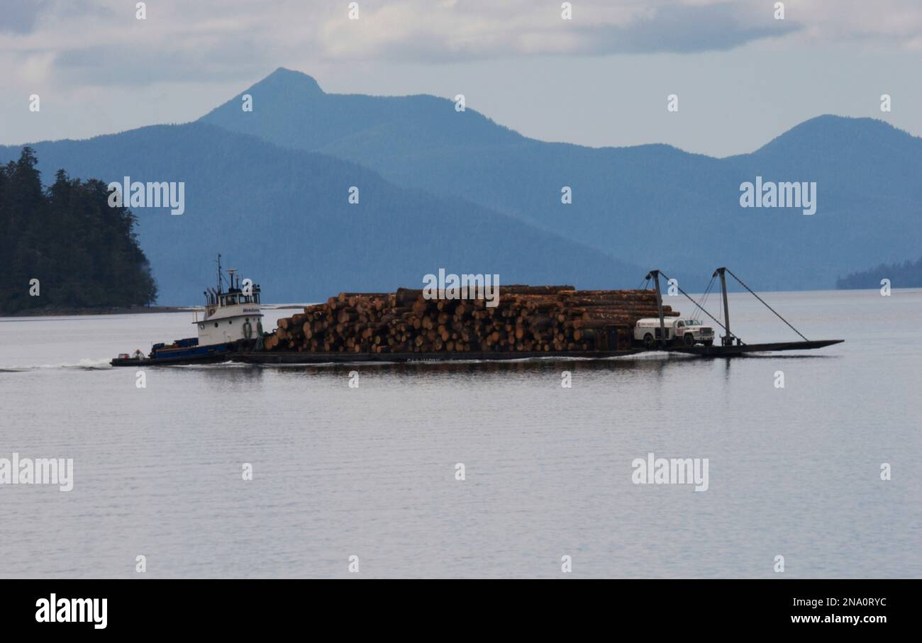 Timber is loaded onto barges and taken to a saw mill for processing ...