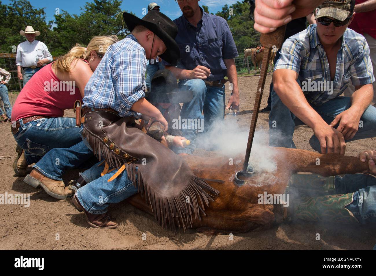 American ranches hi-res stock photography and images - Alamy