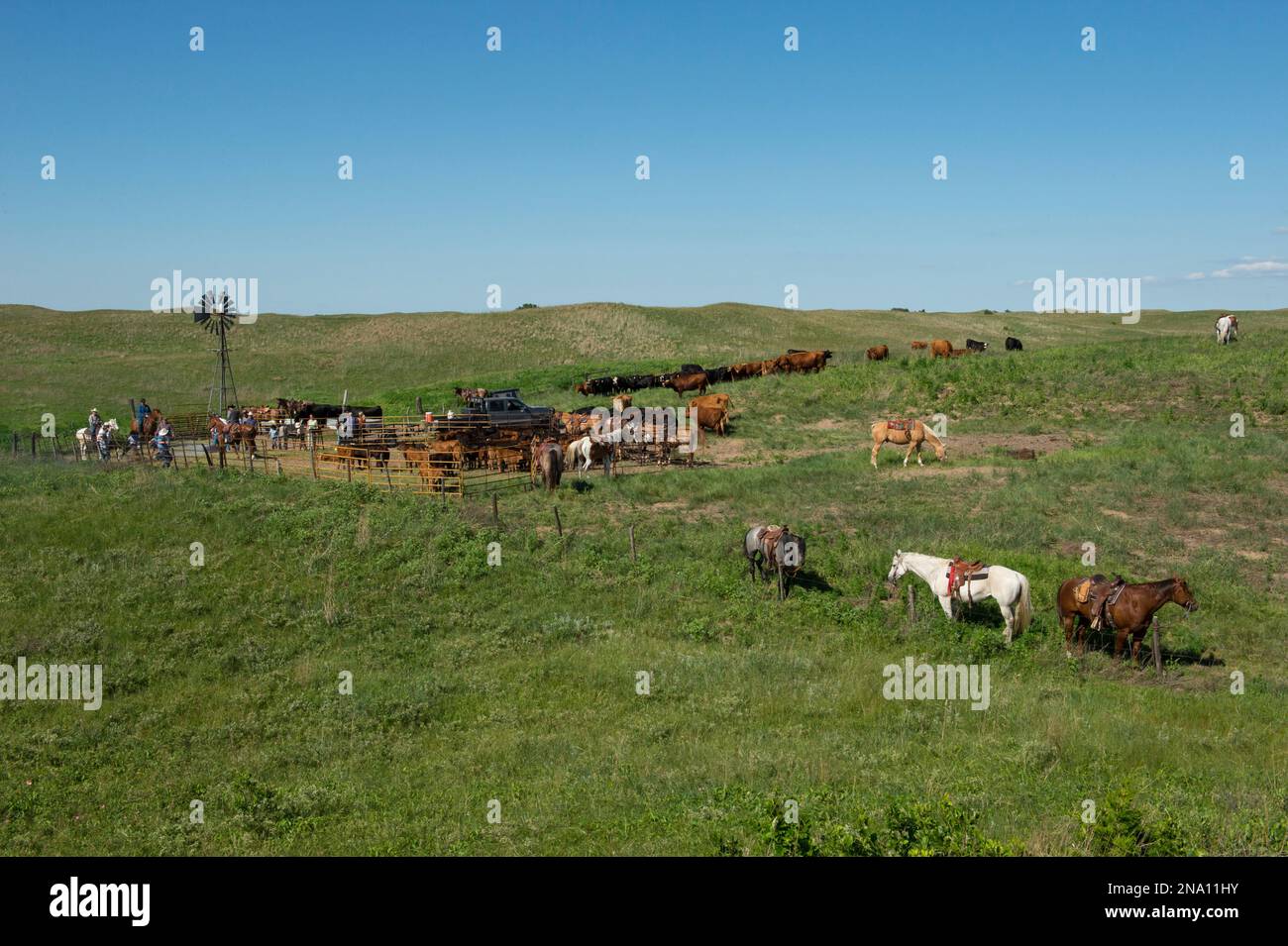 Working cowgirls hi-res stock photography and images - Alamy