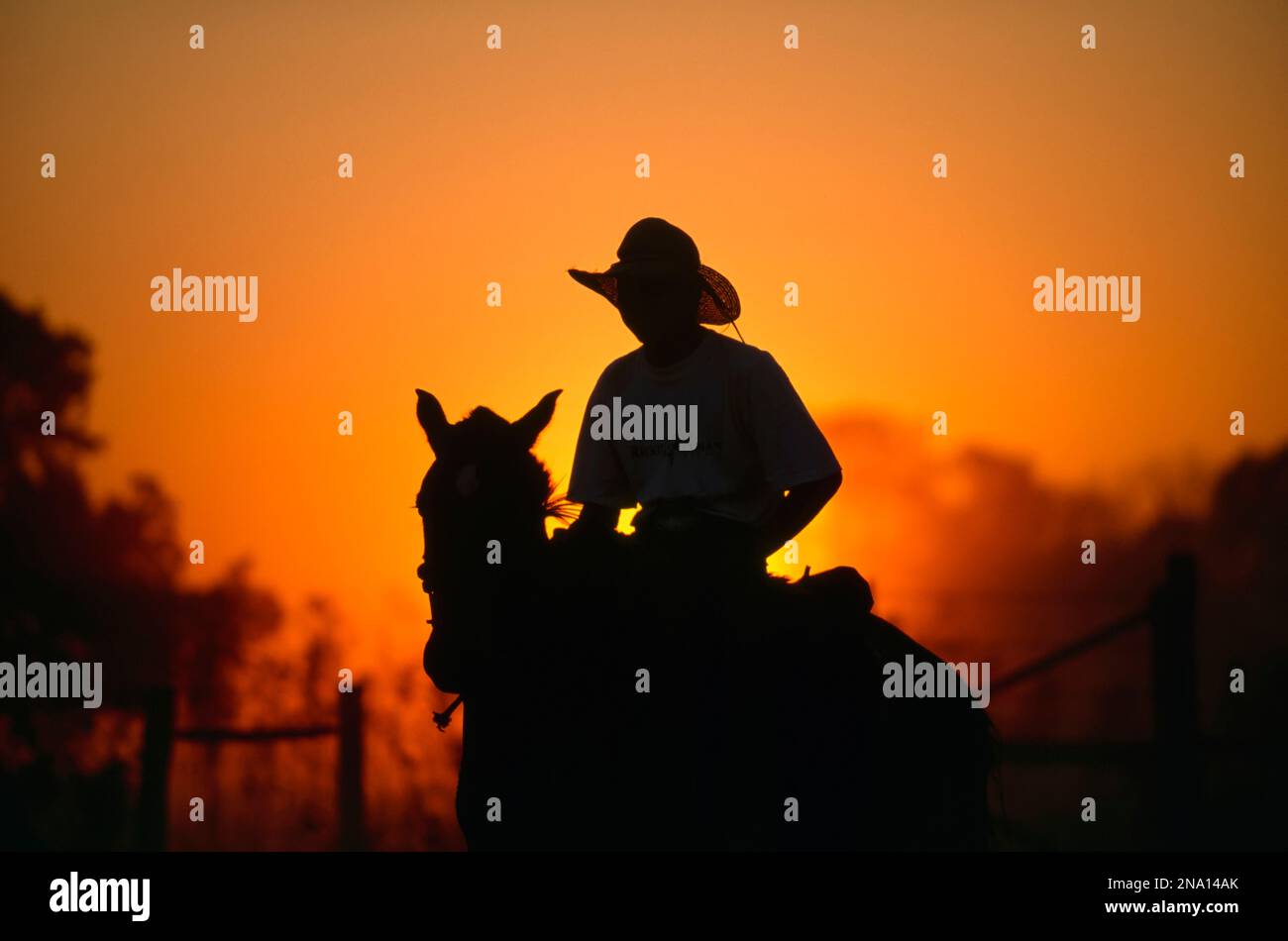 Cosmic cowboy hi-res stock photography and images - Alamy