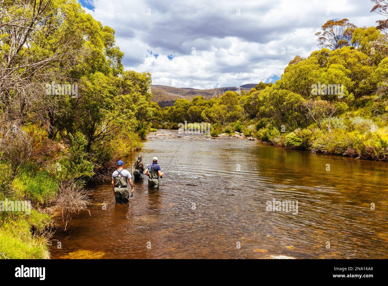 Lake Crackenback and Thredo River in Australia Stock Photo - Alamy