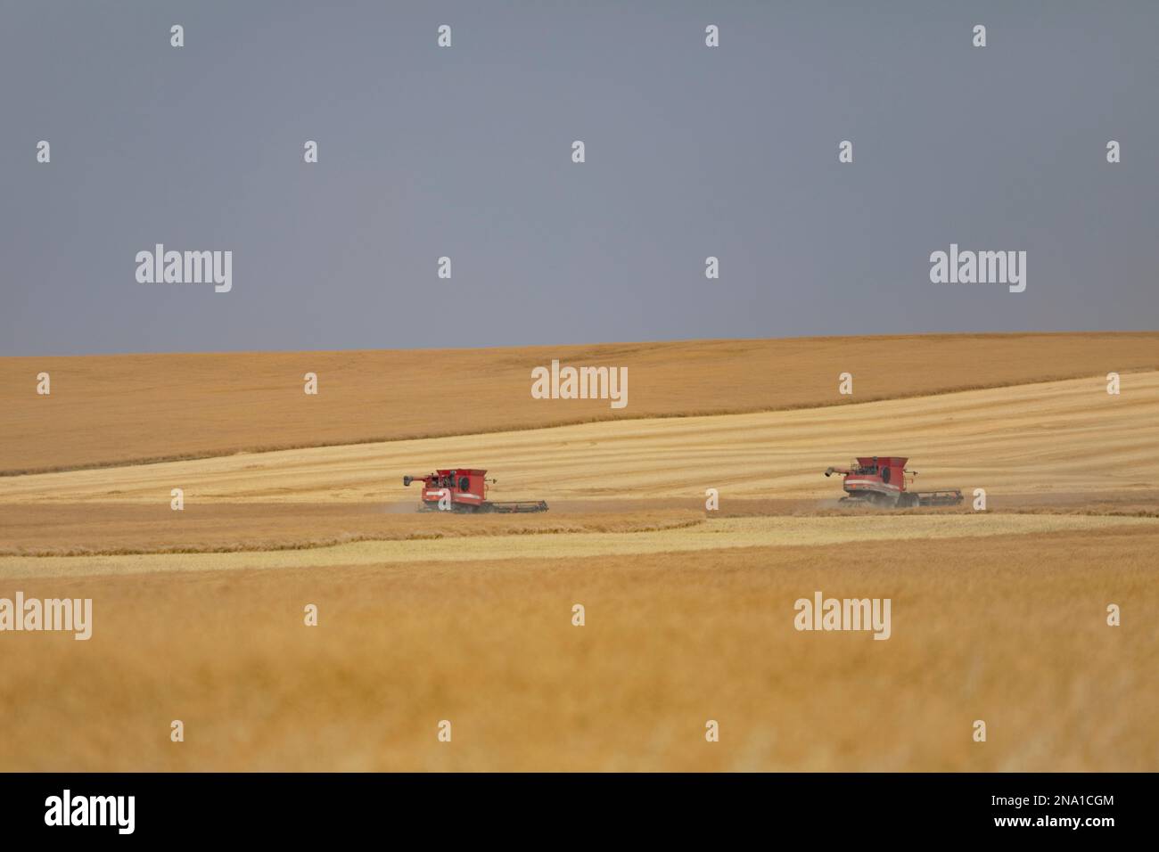 Combines hi-res stock photography and images - Alamy