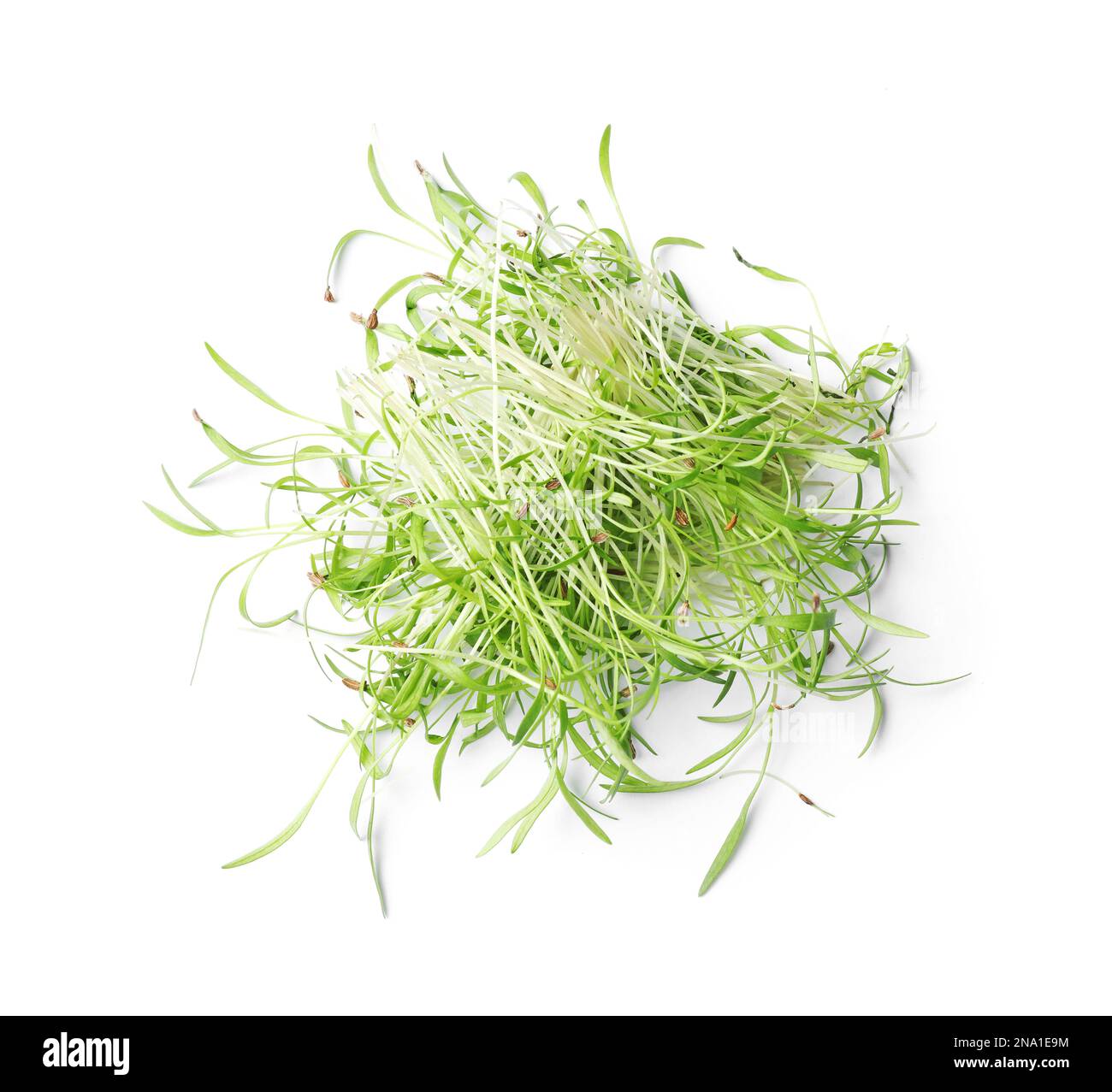 Pile of fresh microgreens isolated on white, top view Stock Photo - Alamy