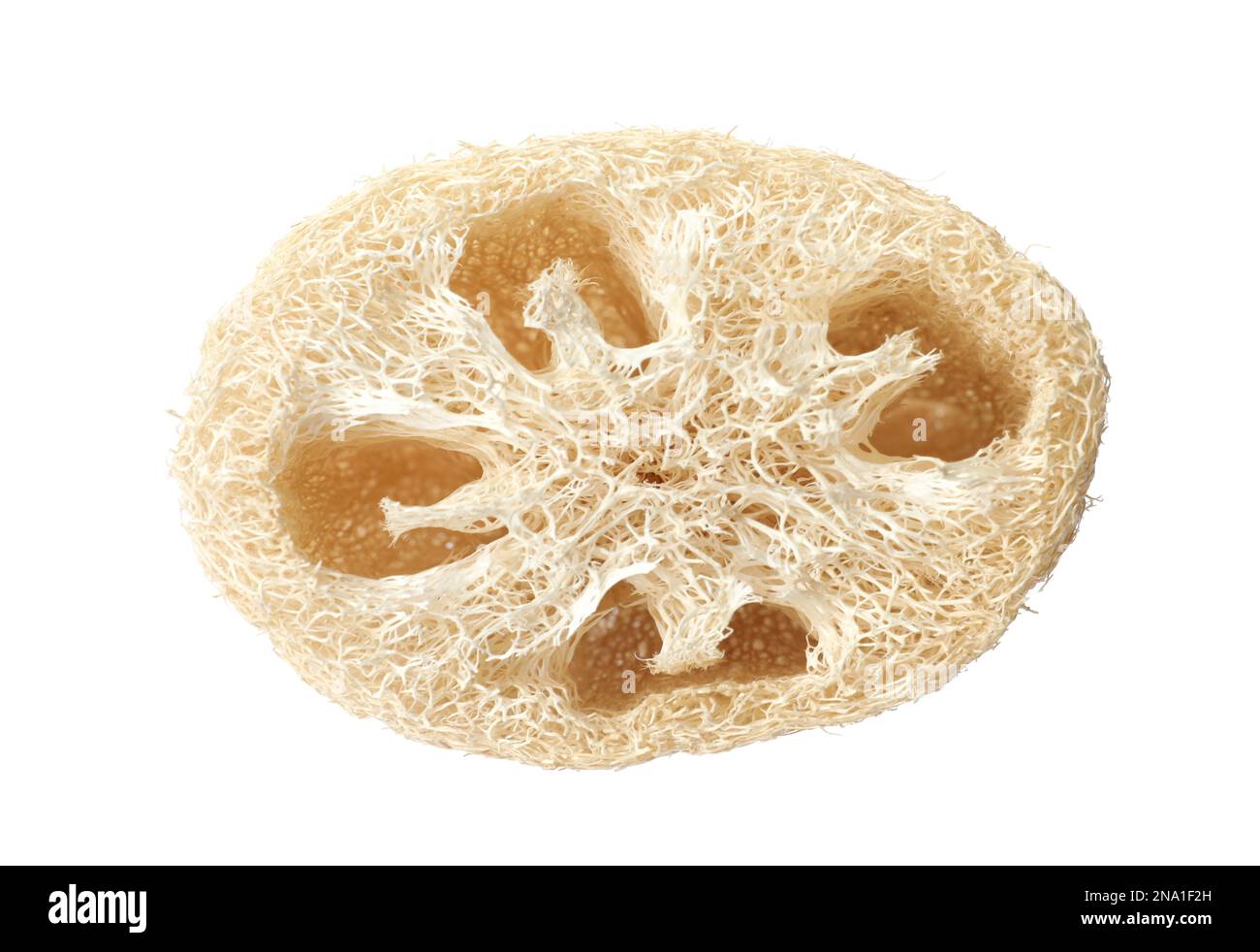 Shower loofah hi-res stock photography and images - Alamy