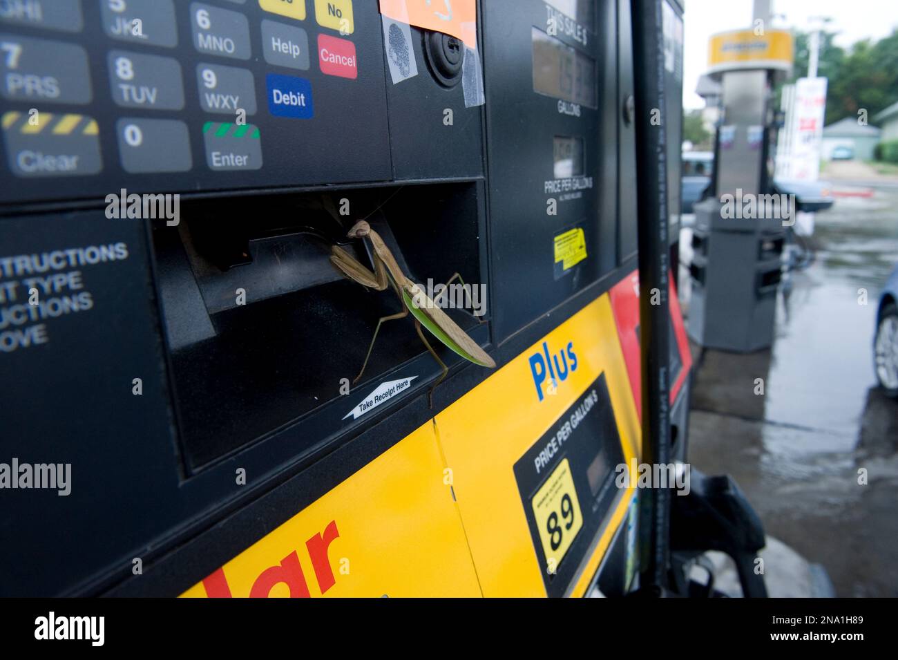 Focus on unique structures hi-res stock photography and images - Alamy