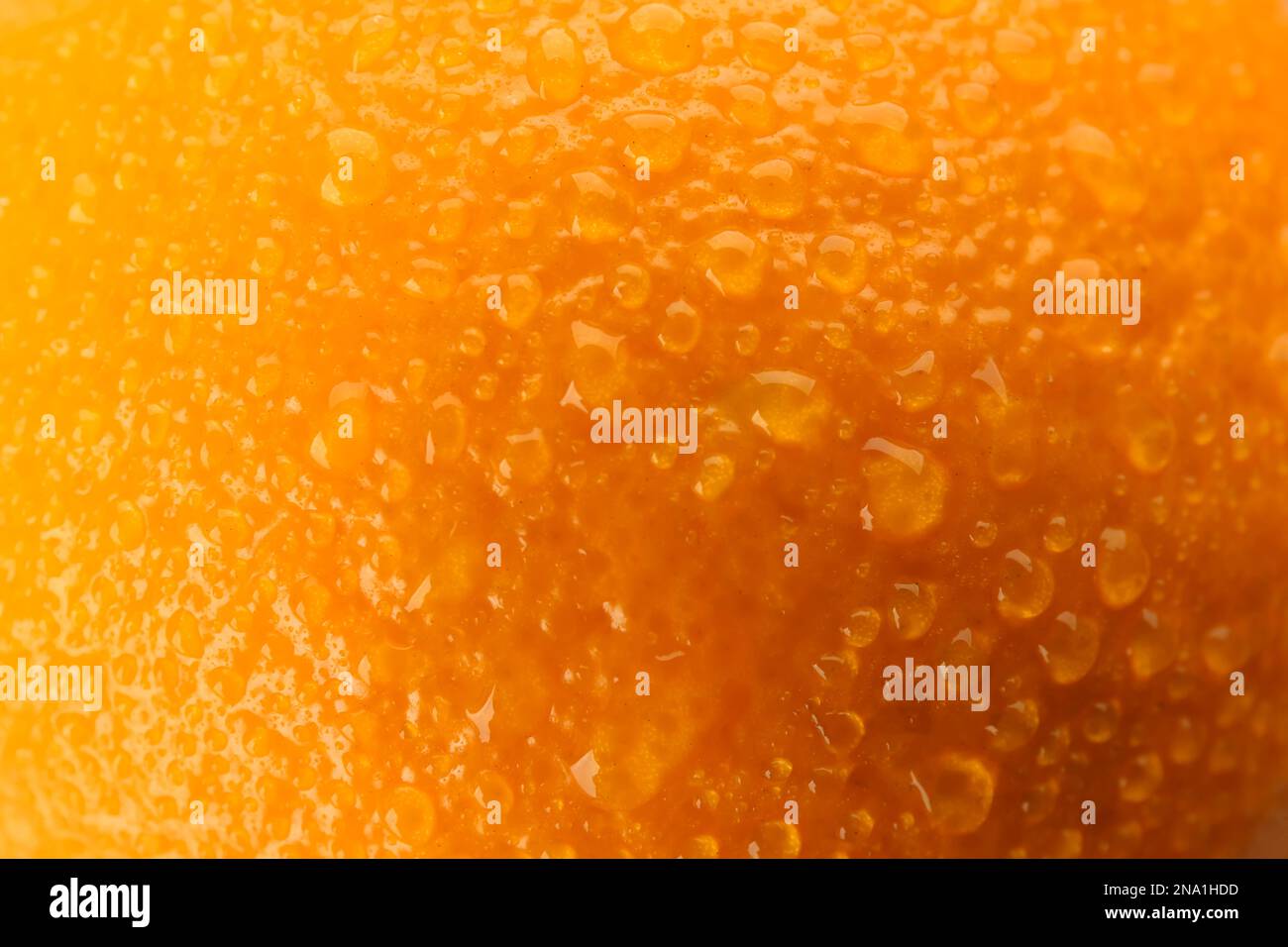 Delicious unpeeled orange with water drops as background, closeup Stock ...