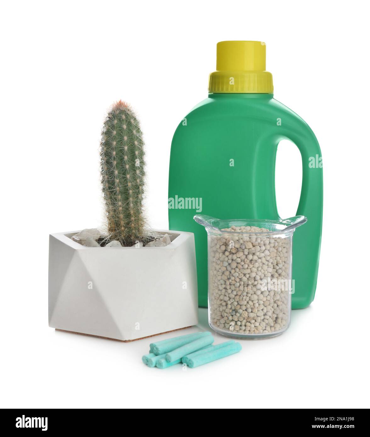 Beautiful house plant and different fertilizers on white background ...