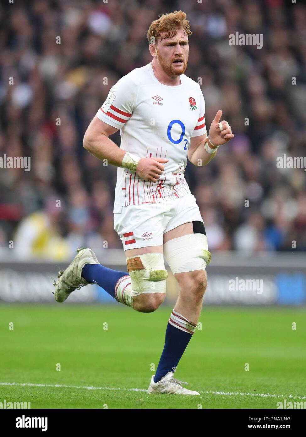 Guinness six nations rugby 2023 hi-res stock photography and images - Alamy