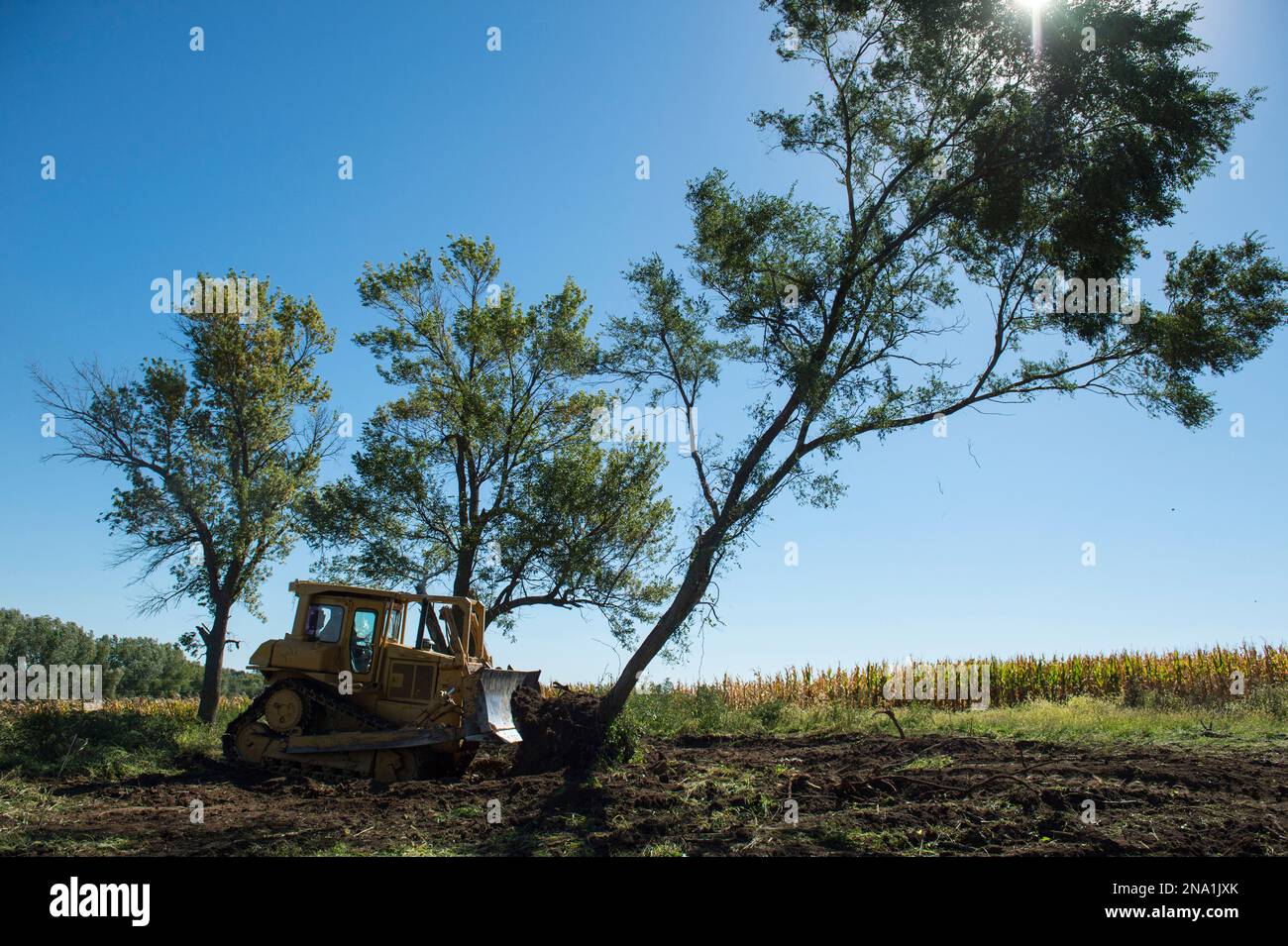 Bulldozer clearing land hi-res stock photography and images - Alamy