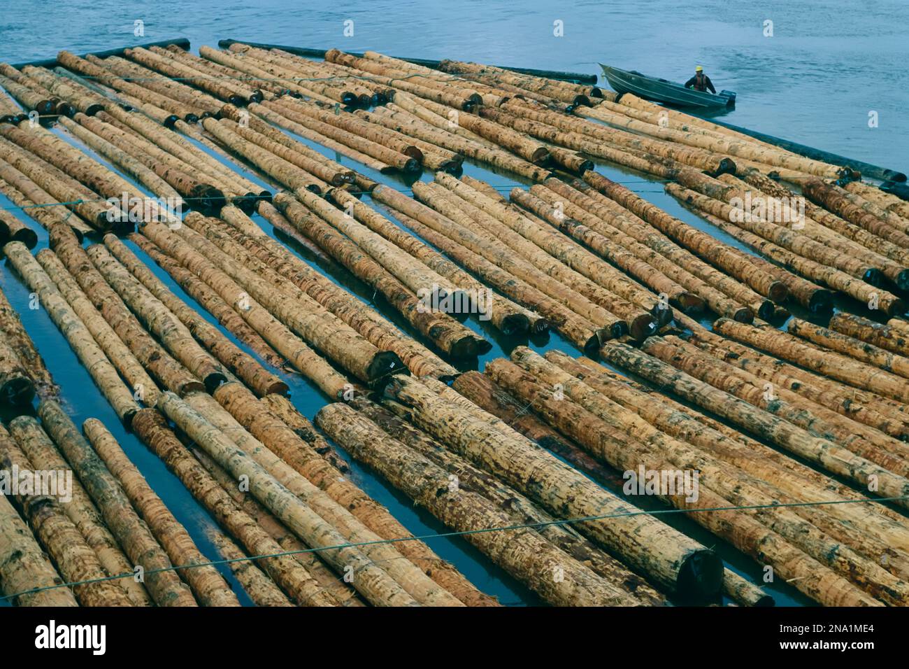 A man in a boat passes bundles of logs awaiting shipment to mills; Coos ...