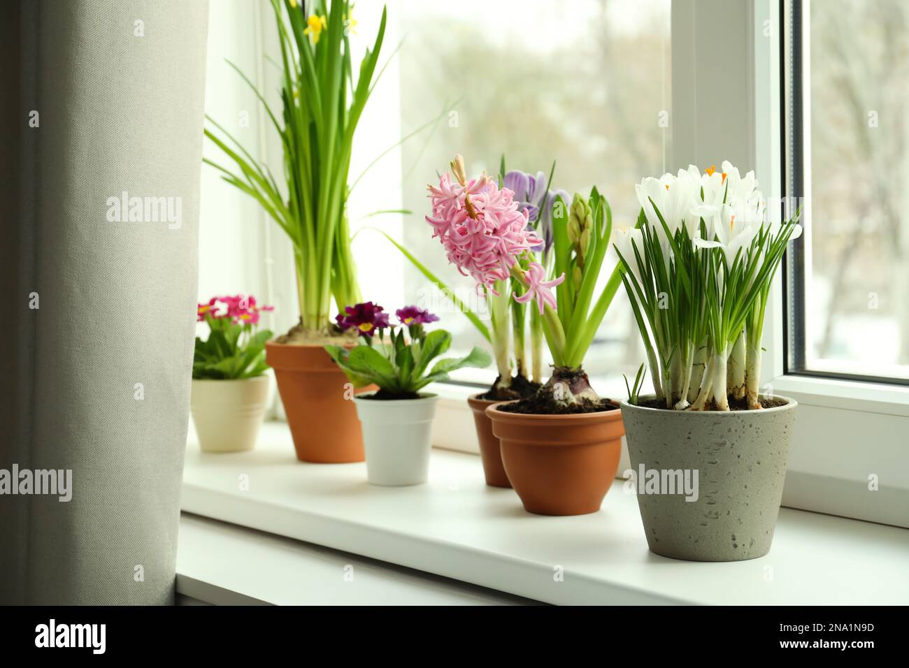 Different flowers growing in ceramic pots on window sill Stock Photo ...