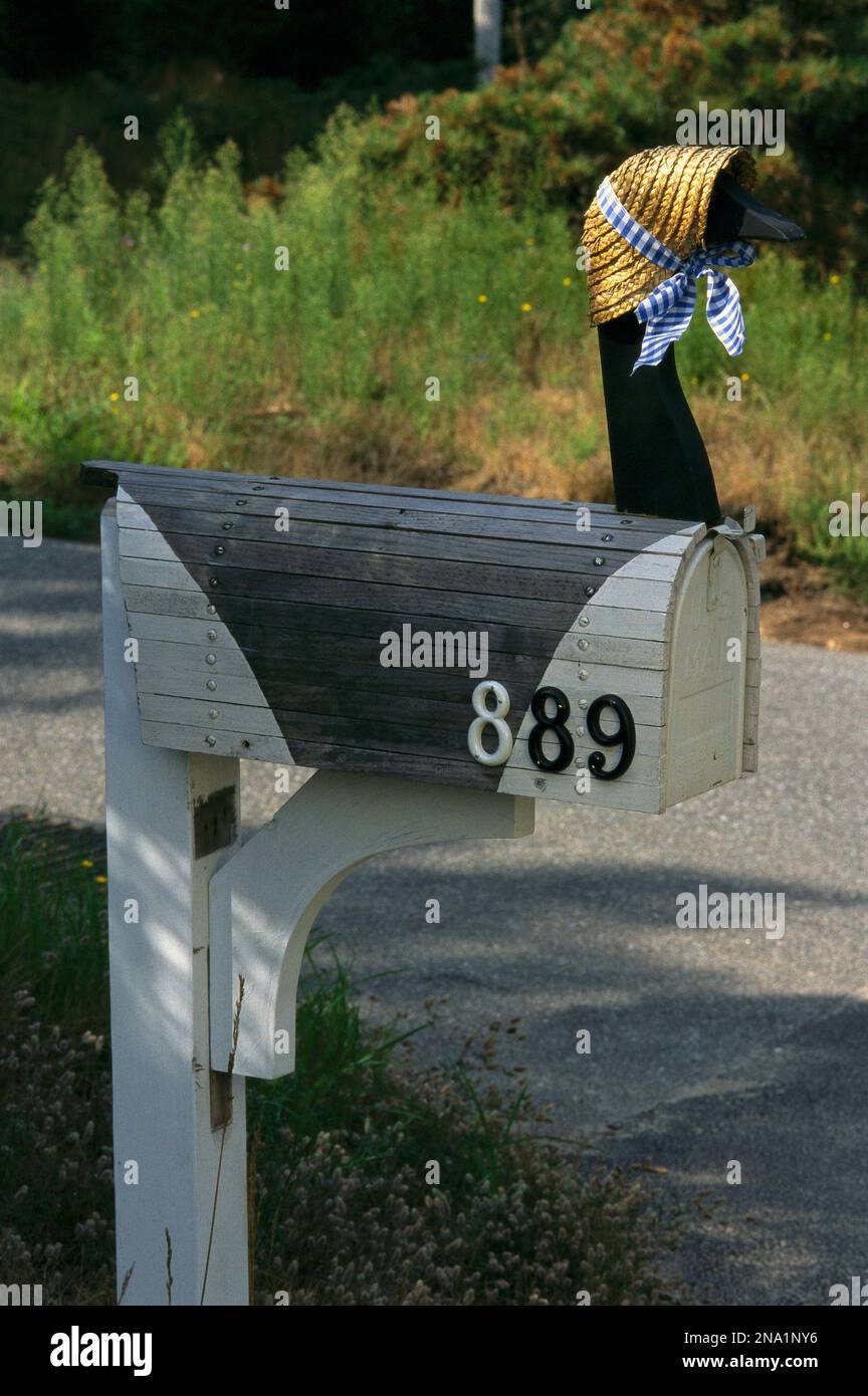 Mailbox designed to look like a Canada goose with Mother goose bonnet ...