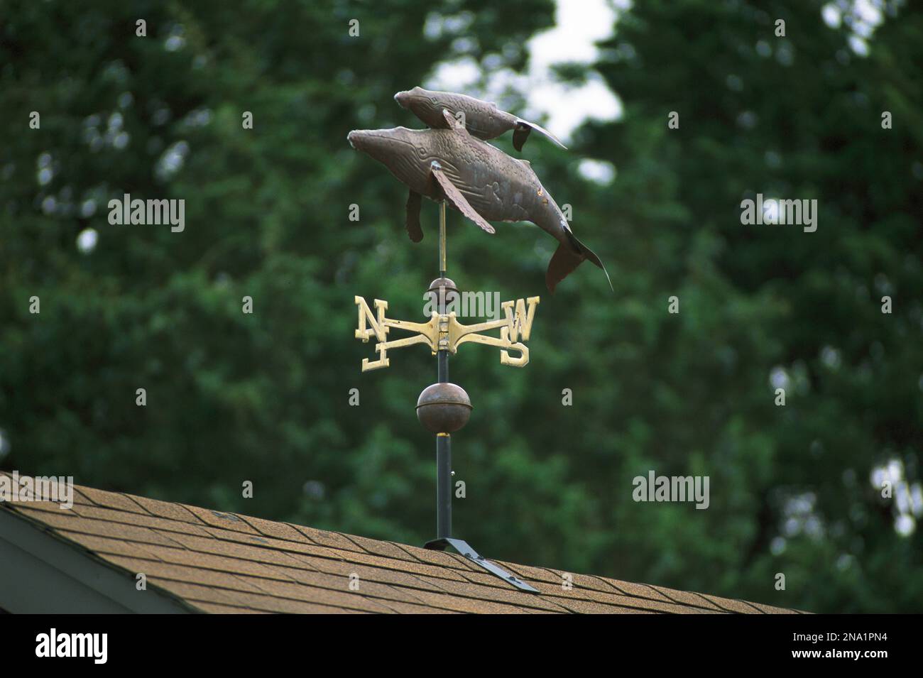 View of a mother and baby humpback whale weathervane on a roof top ...