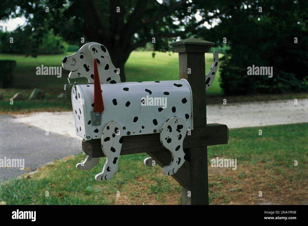 Mailbox designed to look like a dalmatian dog.; Harwich, Cape Cod ...