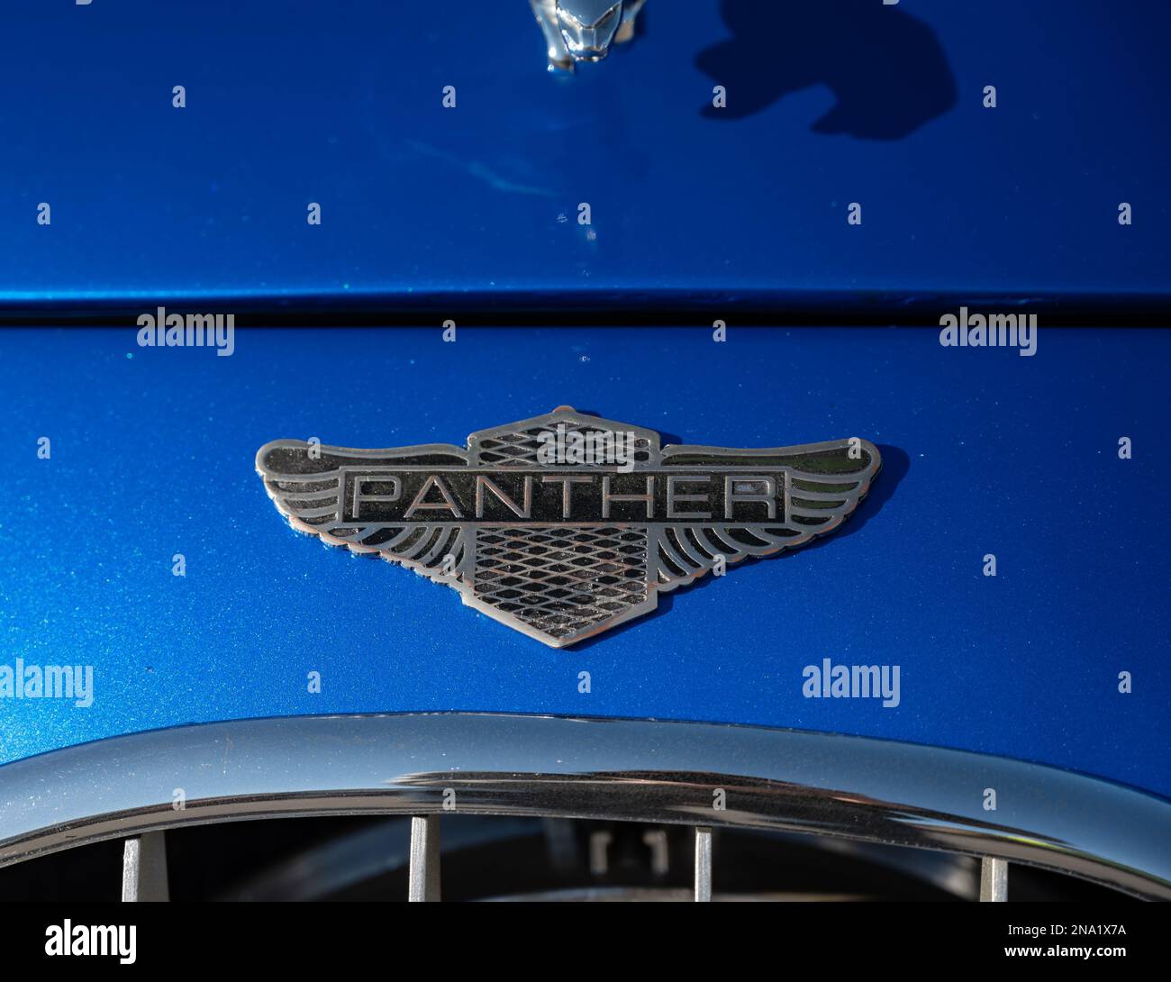 Car With Panther Logo