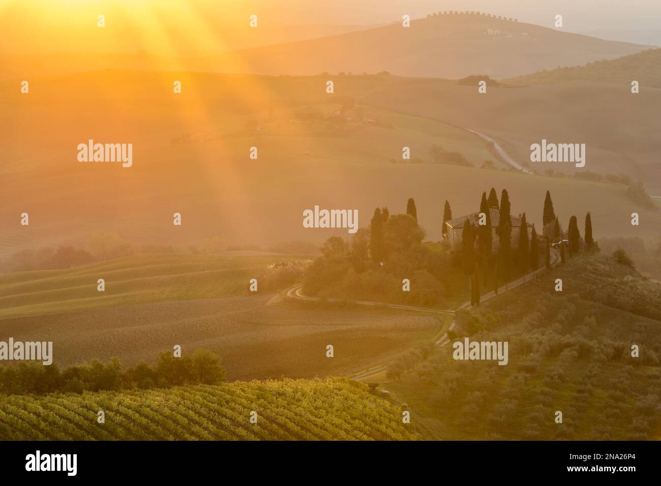 The intensive rays of the morning sun illuminate layered Tuscany green ...