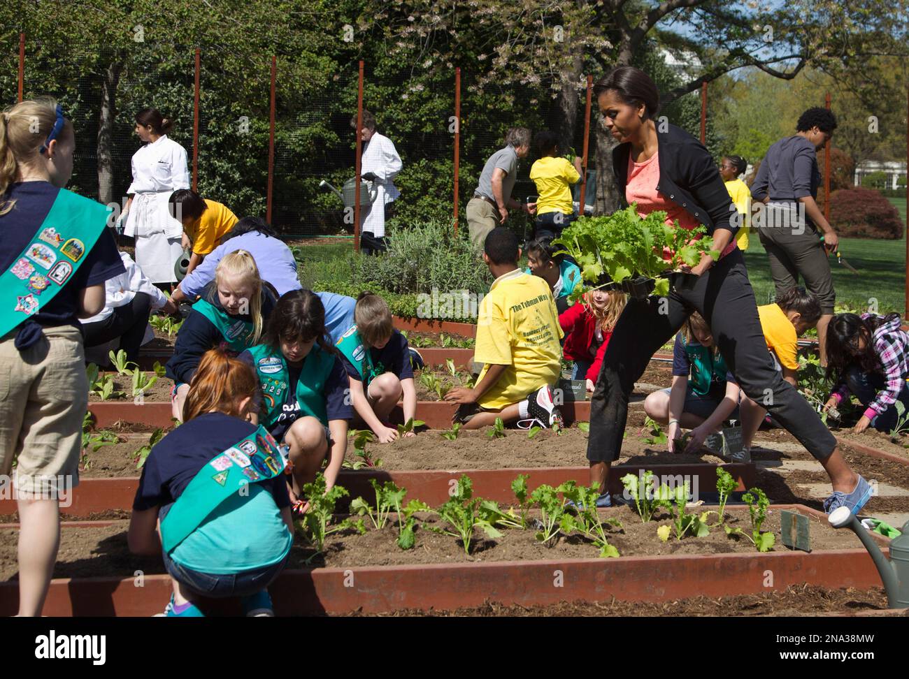 First lady Michelle Obama carries mustard plants for planting as she is ...