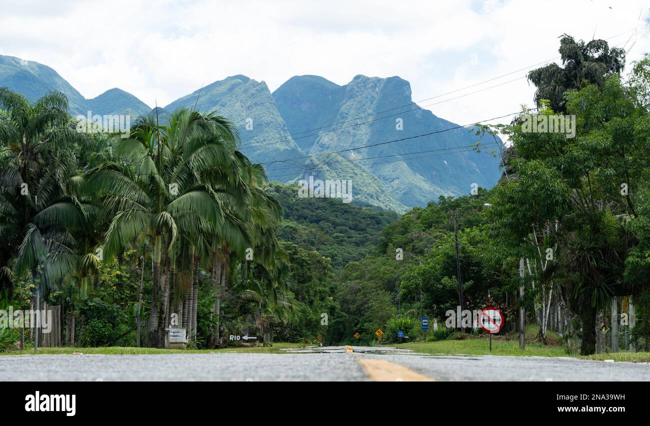 Mountains of Serra do Mar, Atlantic Forest of southern Brazil Stock ...
