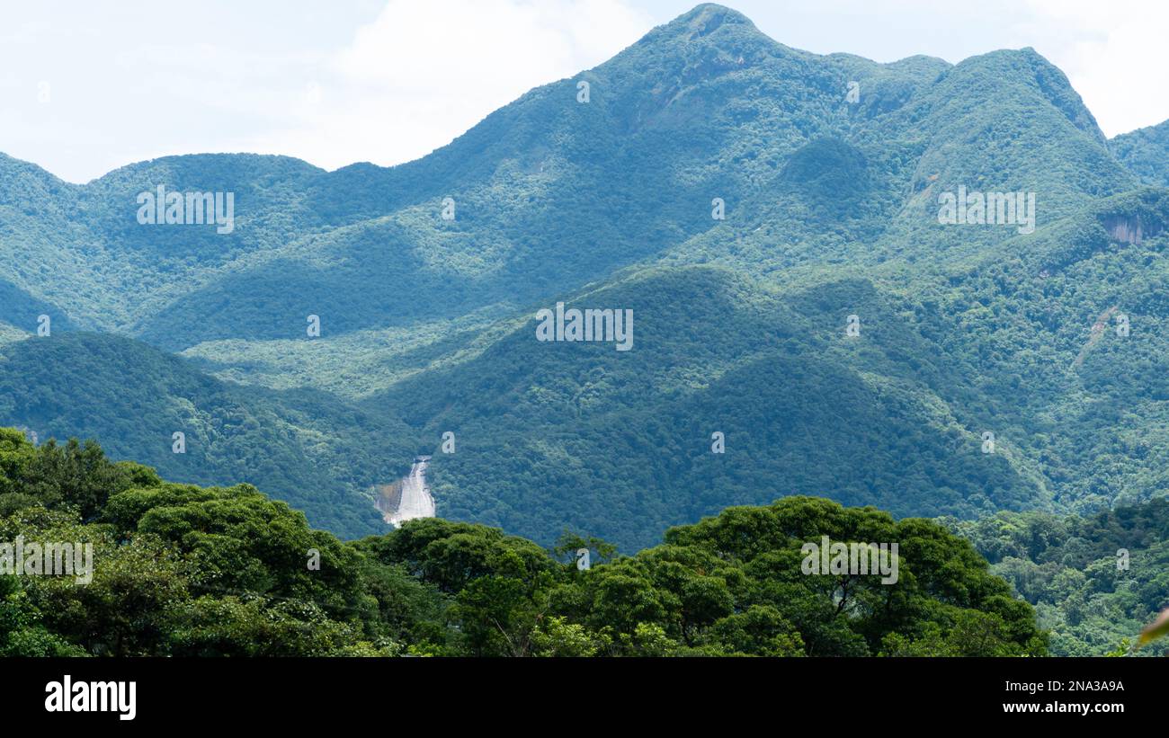 Mountains of Serra do Mar, Atlantic Forest of southern Brazil Stock ...