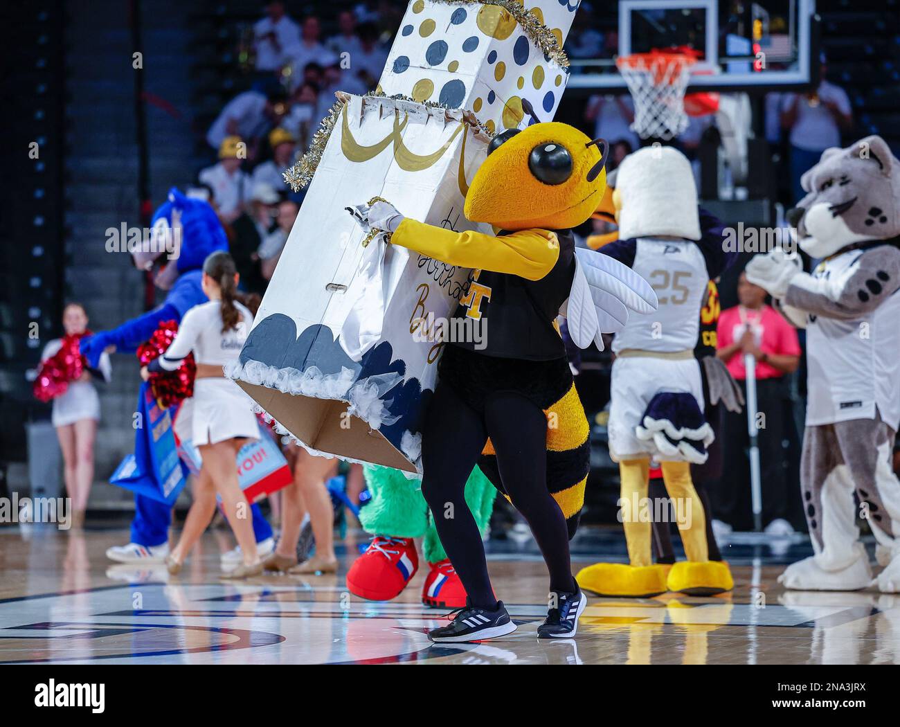 Atlanta, Georgia. 12th Feb, 2023. Georgia Tech celebrated Buzz's 50th ...