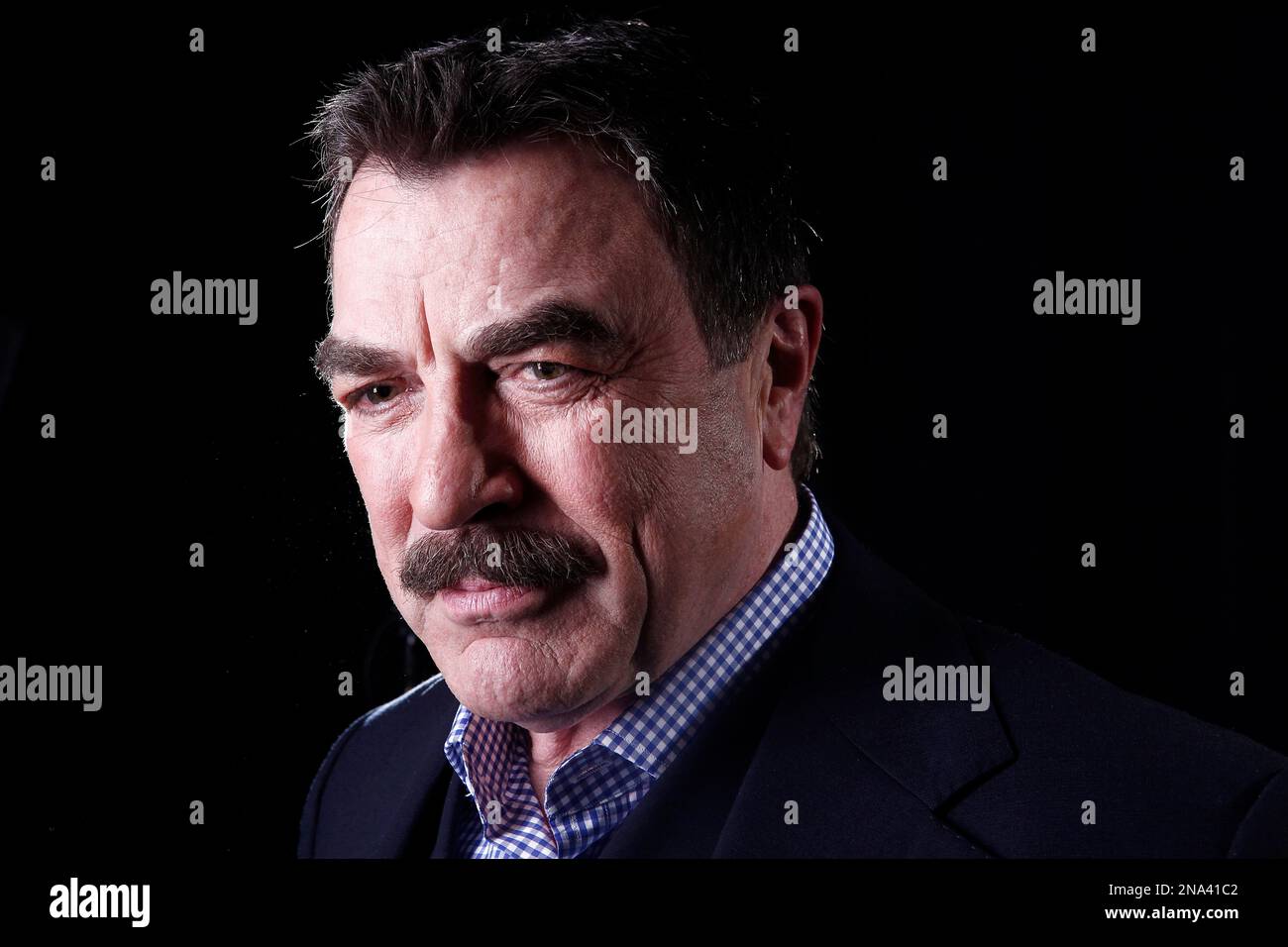 Actor Tom Selleck poses for a portrait Mar. 21, 2012 in New York. (AP ...