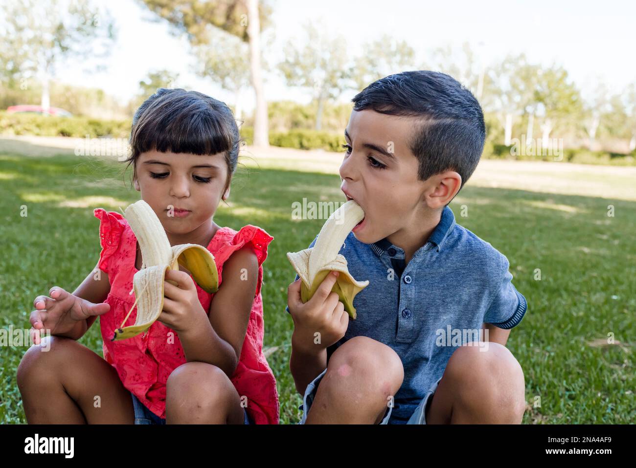 Two kids eating banana sitting outdoors on the grass in a park Stock ...