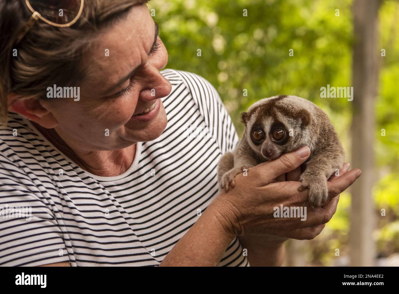 Woman with lemur hi-res stock photography and images - Alamy