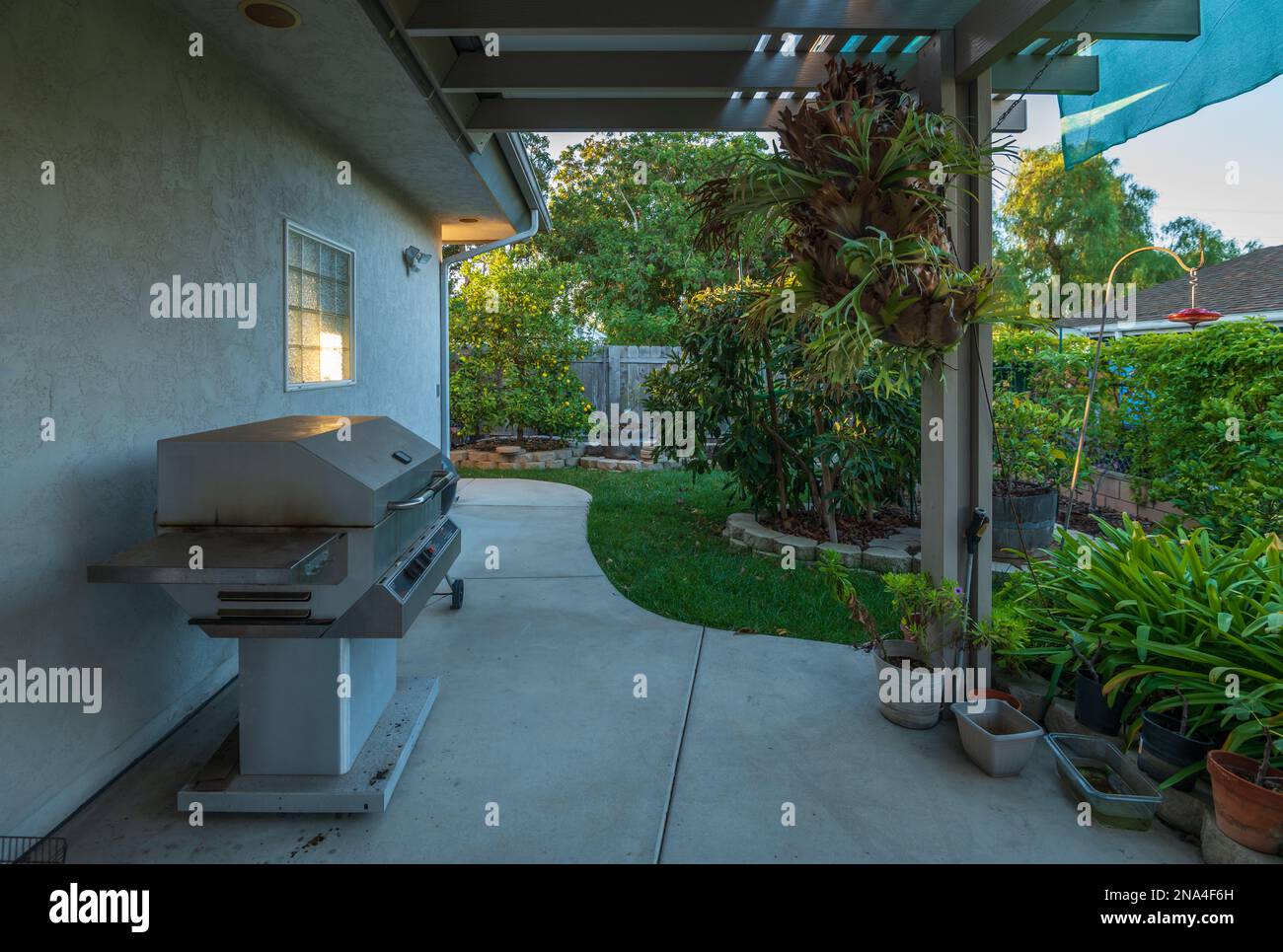 Lush backyard california home hi-res stock photography and images - Alamy