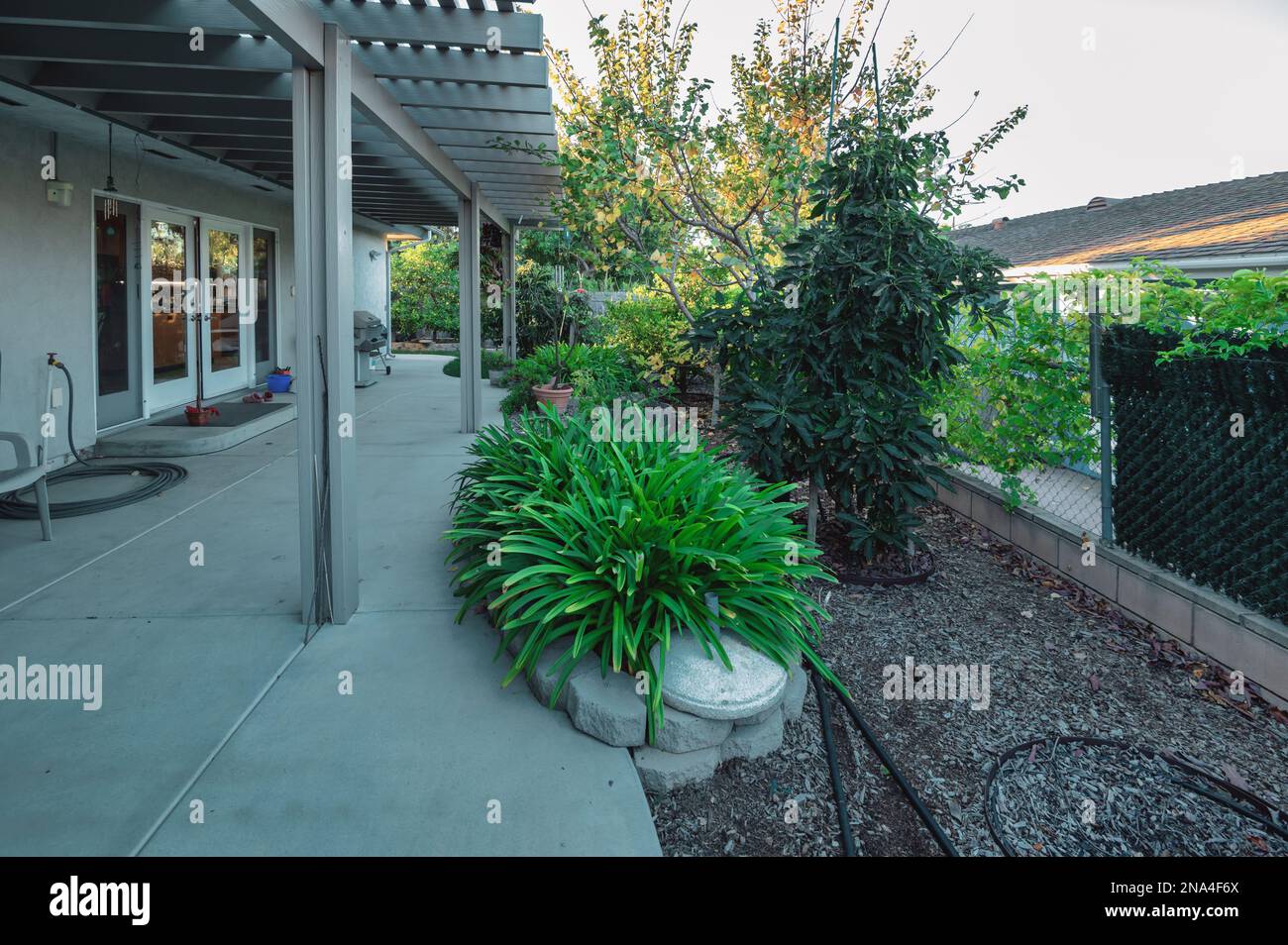 Backyard vegetable garden california hi-res stock photography and ...