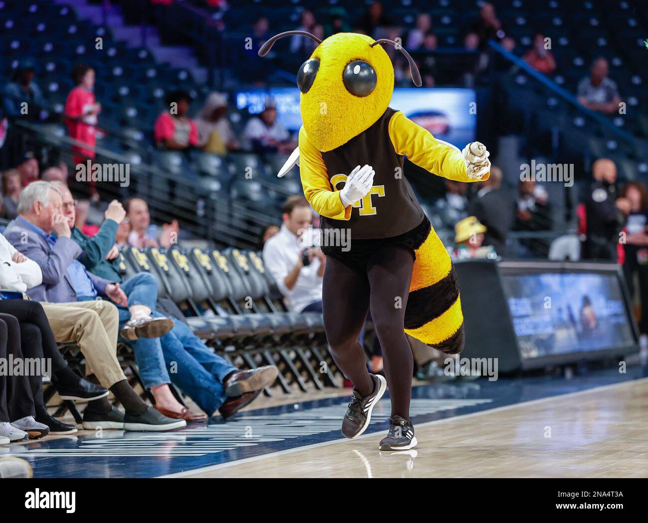 February 12, 2023: Buzz entertains the crowd during the NCAA women's ...