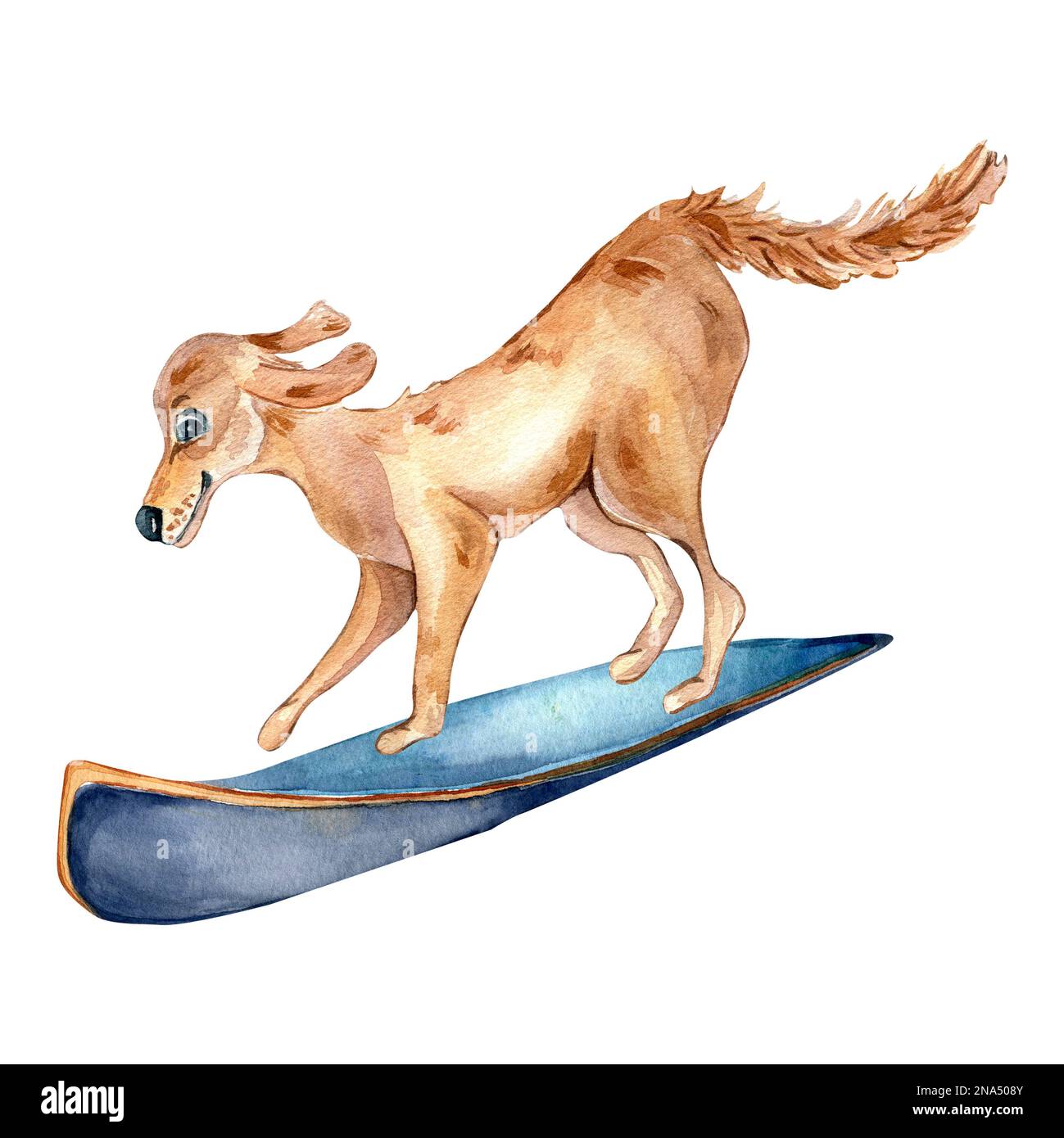Cartoon dog has surfboarding watercolor illustration isolated on white ...