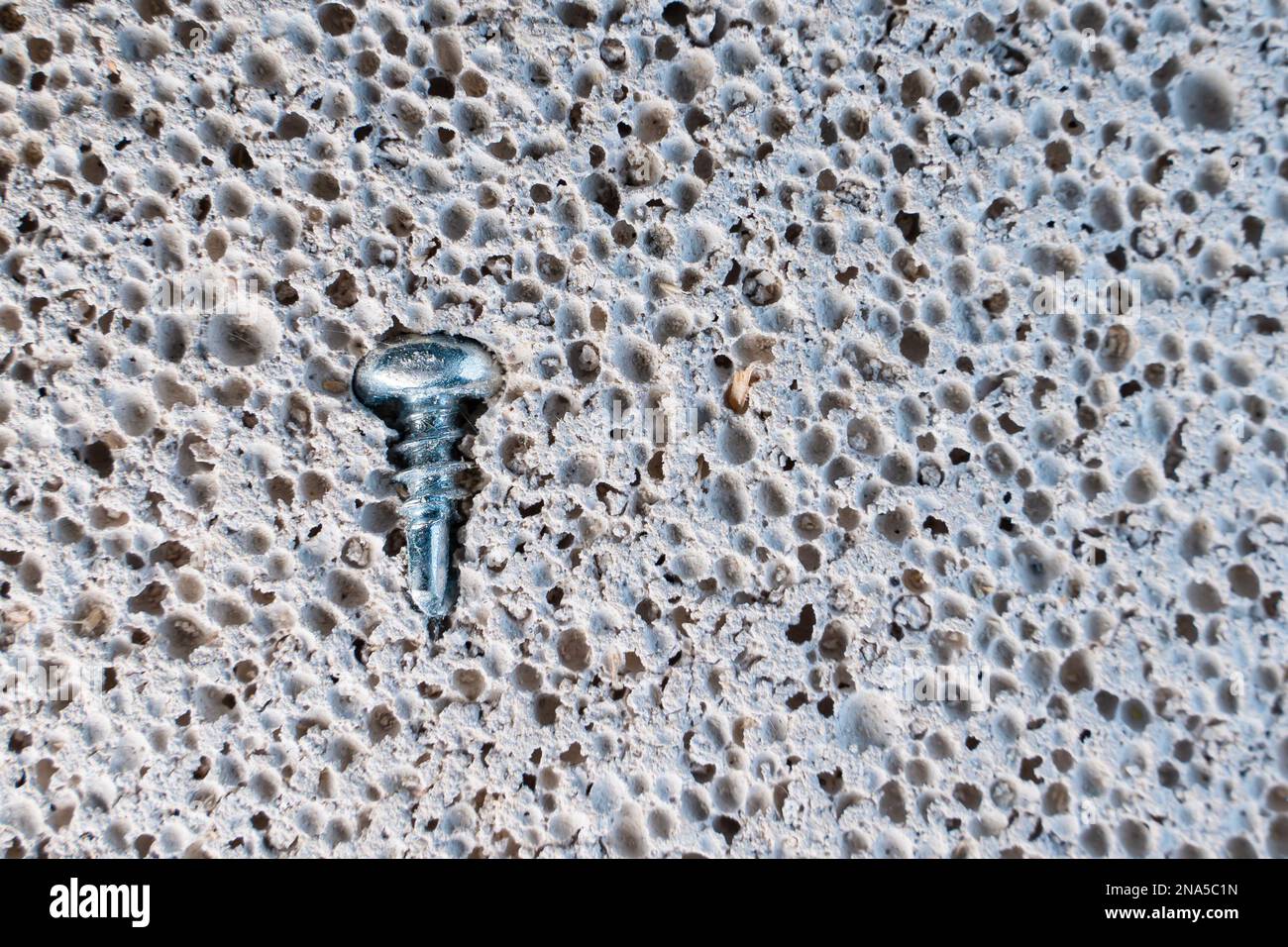 Self tapping screw bug hi-res stock photography and images - Alamy