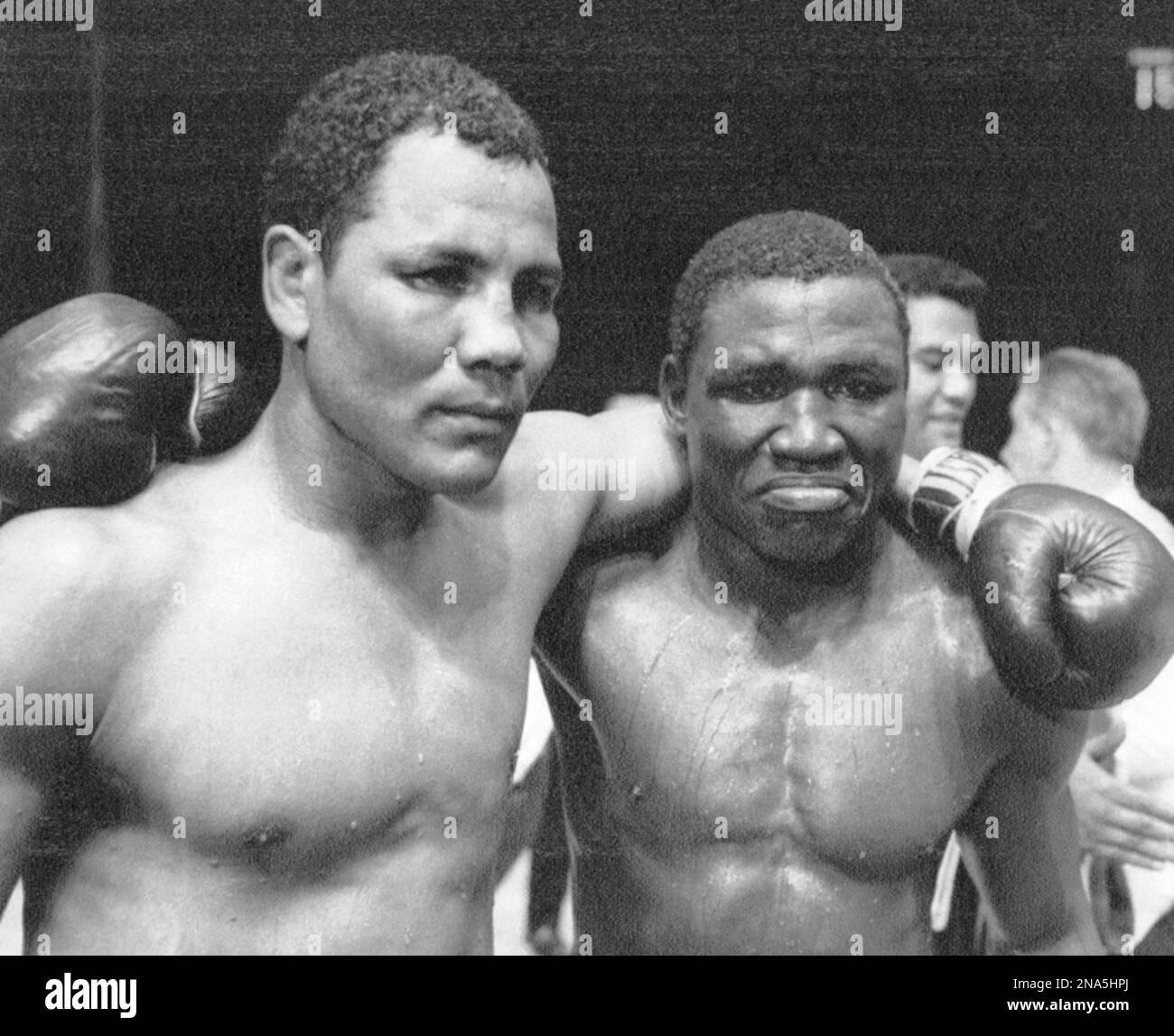 Puerto Rican Jose Torres, left, and World Light Heavyweight Champion ...