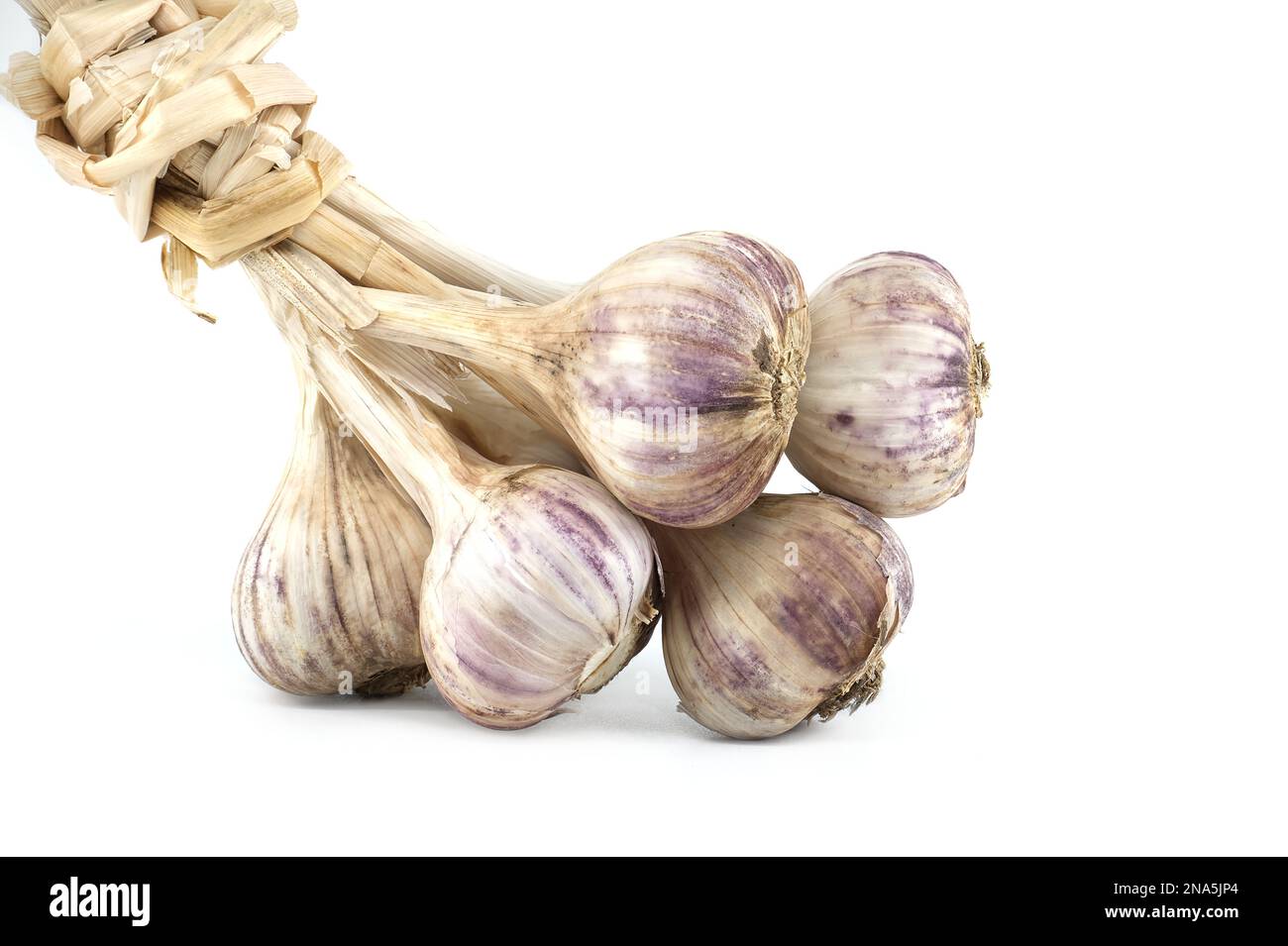 Braided garlic bulbs ready for storage isolated on white background ...