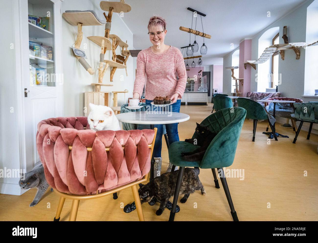 Chemnitz, Germany. 09th Feb, 2023. Surrounded by cats, Franziska Müller ...