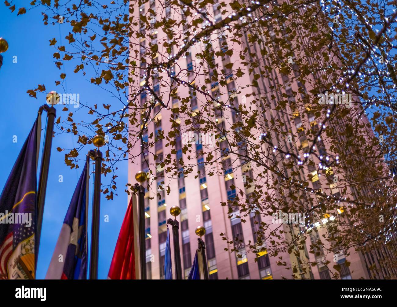 Flags outside the United Nations Building; New York City, New York ...