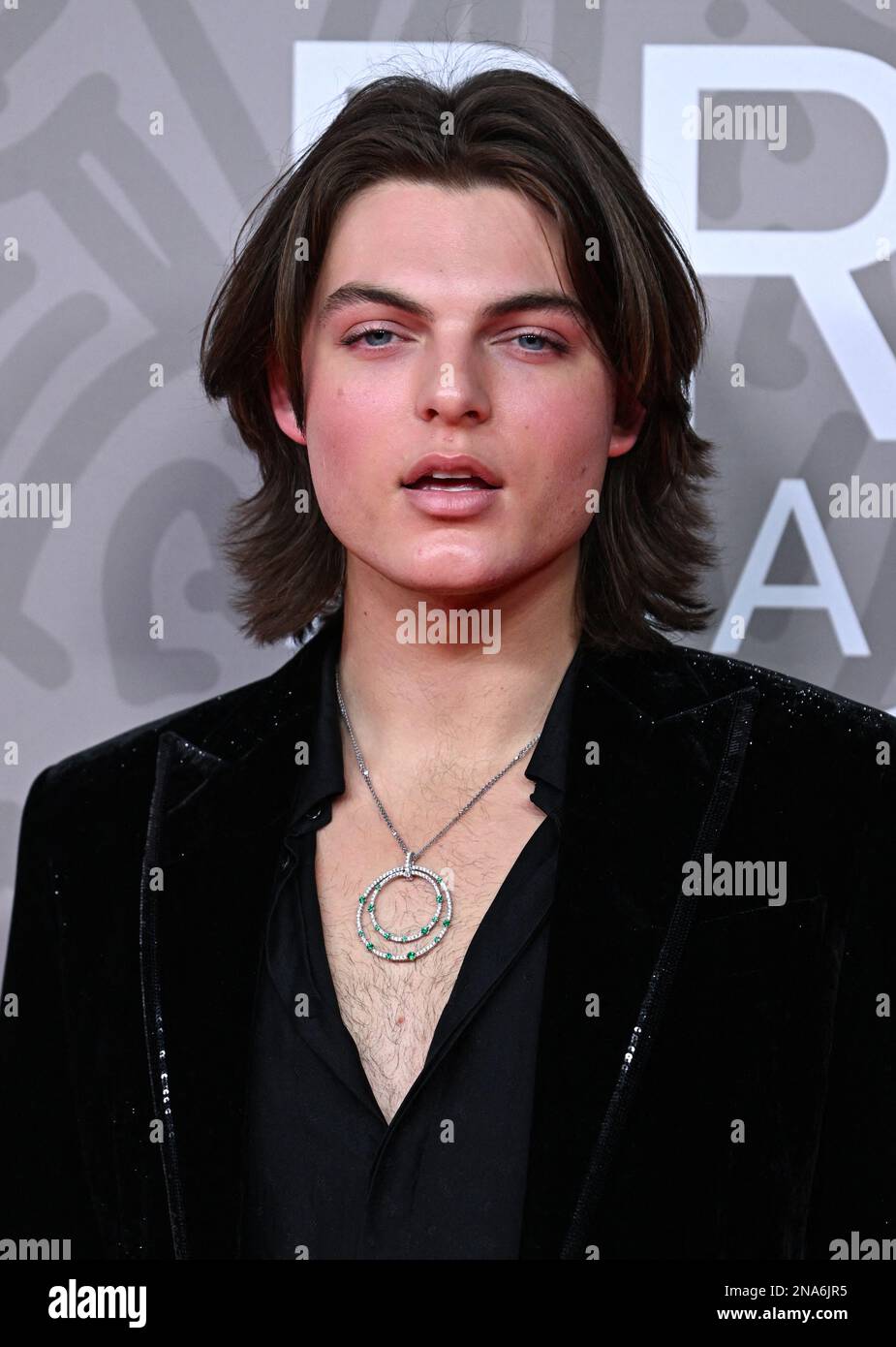 EDITORIAL USE ONLY - Damian Hurley at the 2023 Brit Awards, on February ...