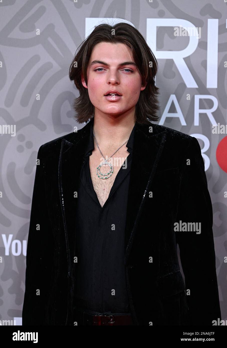 EDITORIAL USE ONLY - Damian Hurley at the 2023 Brit Awards, on February ...