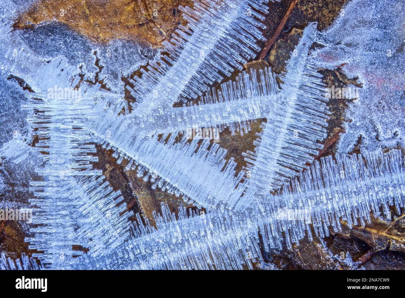 Close-up of frost textures on the ground. Frost needles Stock Photo - Alamy