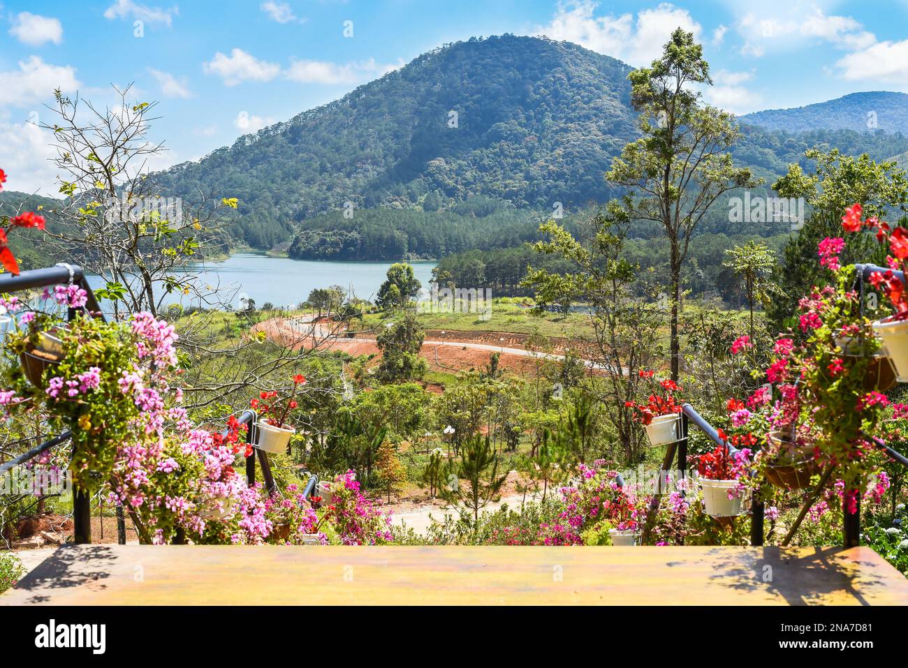 Landscape with flowers, lake and mountains in Da Lat in Vietnam Stock ...