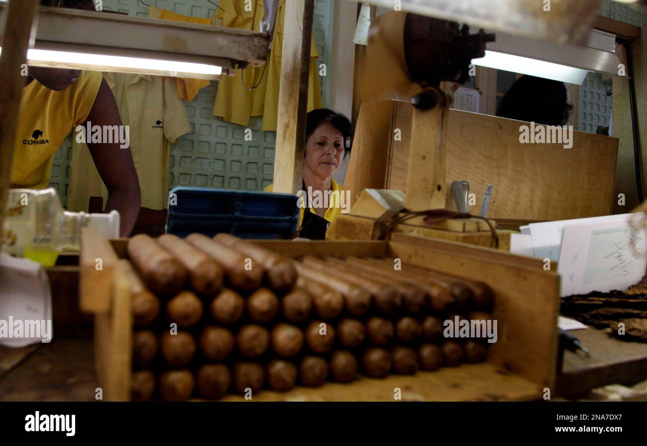 A worker rolls cigars at the Cohiba factory during a press tour as part ...