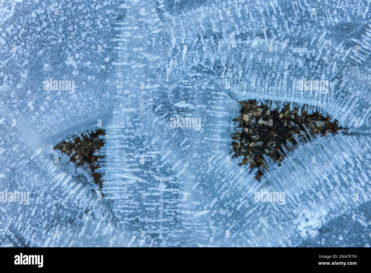 Close-up of frost textures on the ground. Frost needles Stock Photo - Alamy