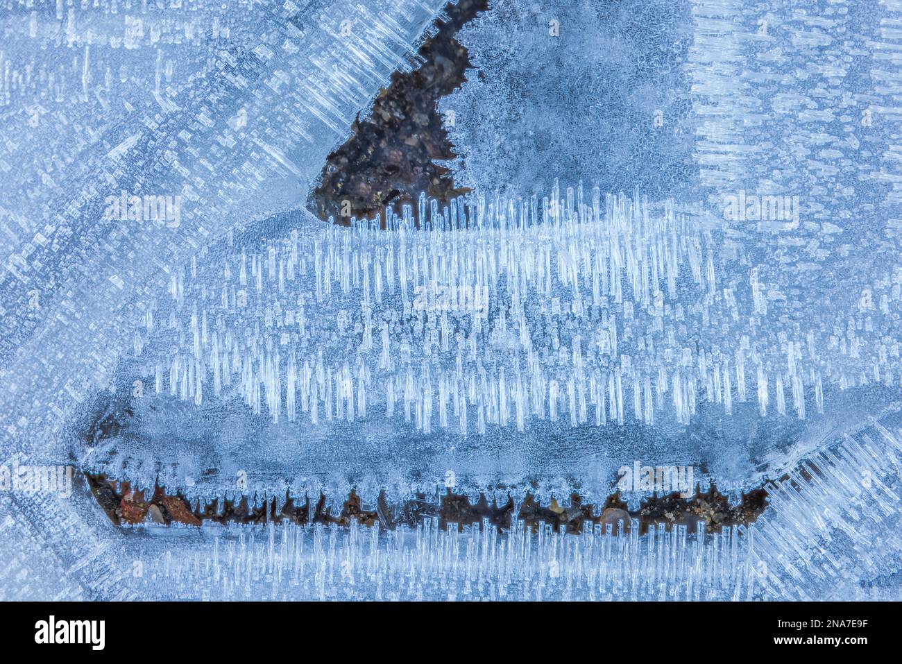 Close-up of frost textures on the ground. Frost needles Stock Photo - Alamy