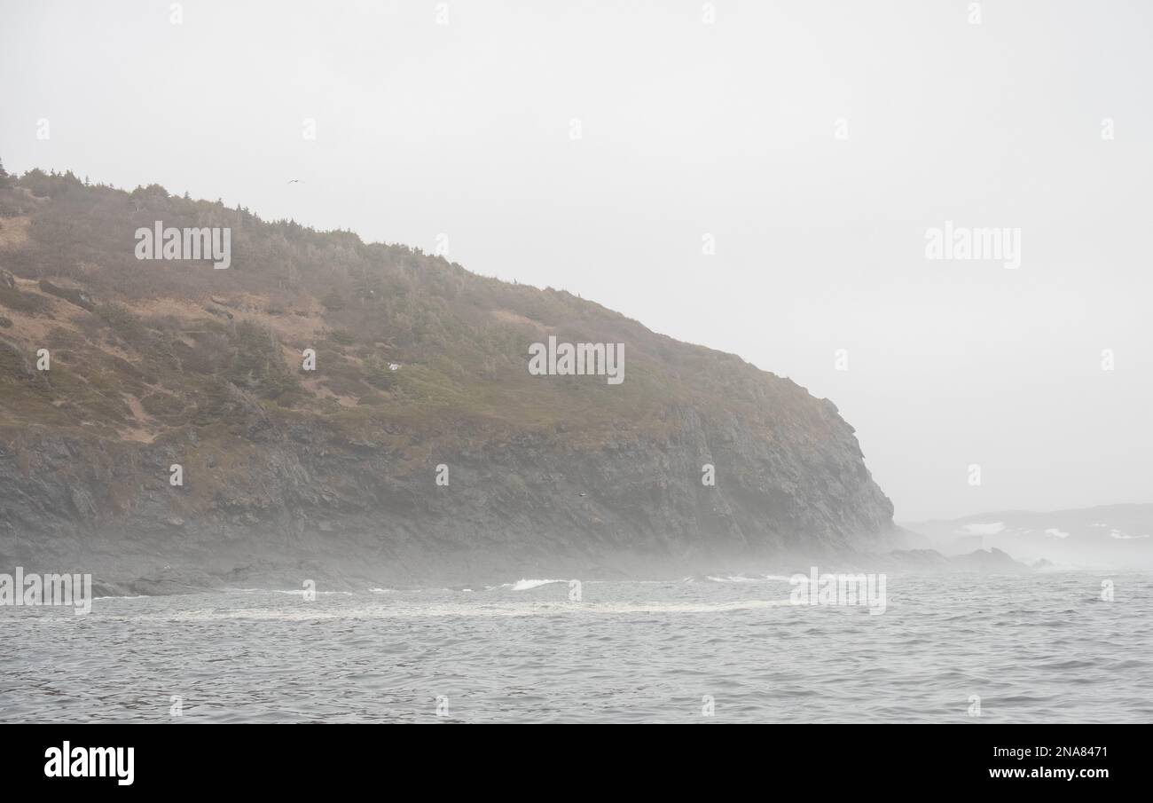A scenic view of sea waves crashing against rocky cliffs on a stormy ...
