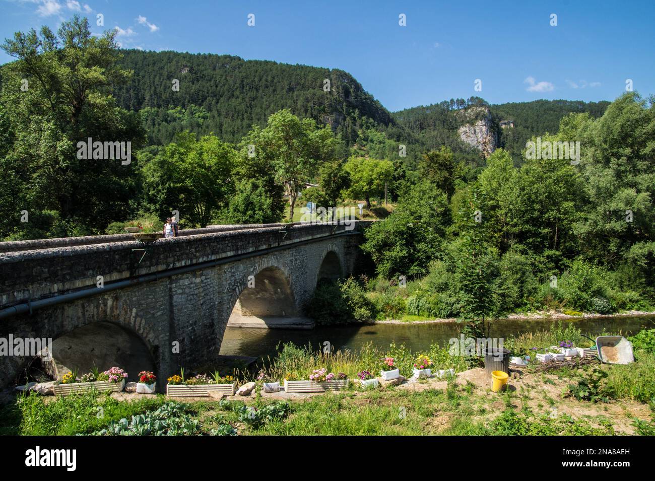 A scenic view of an old stone bridge over a river in Chanac in green ...