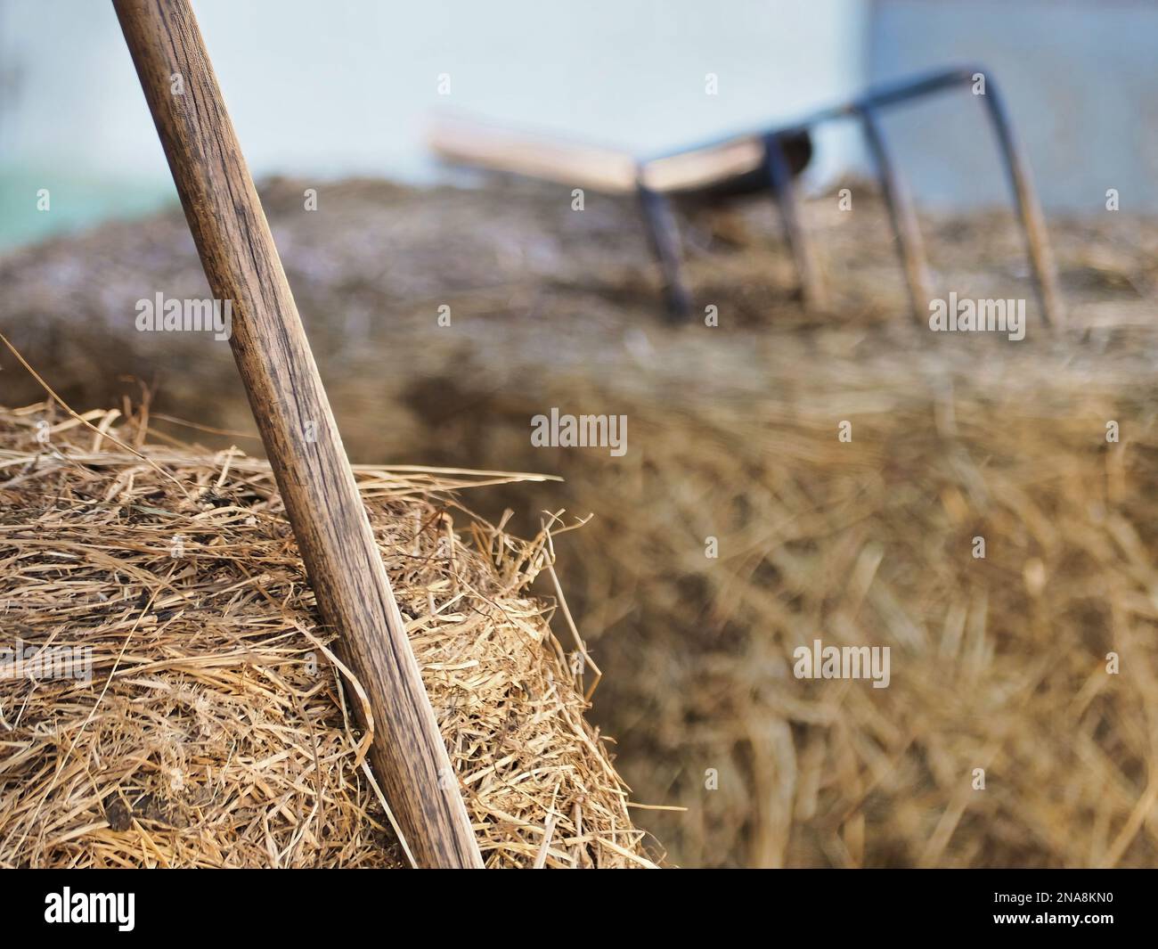 A closeup of an old pitch fork stabbed into a bale of hay Stock Photo ...