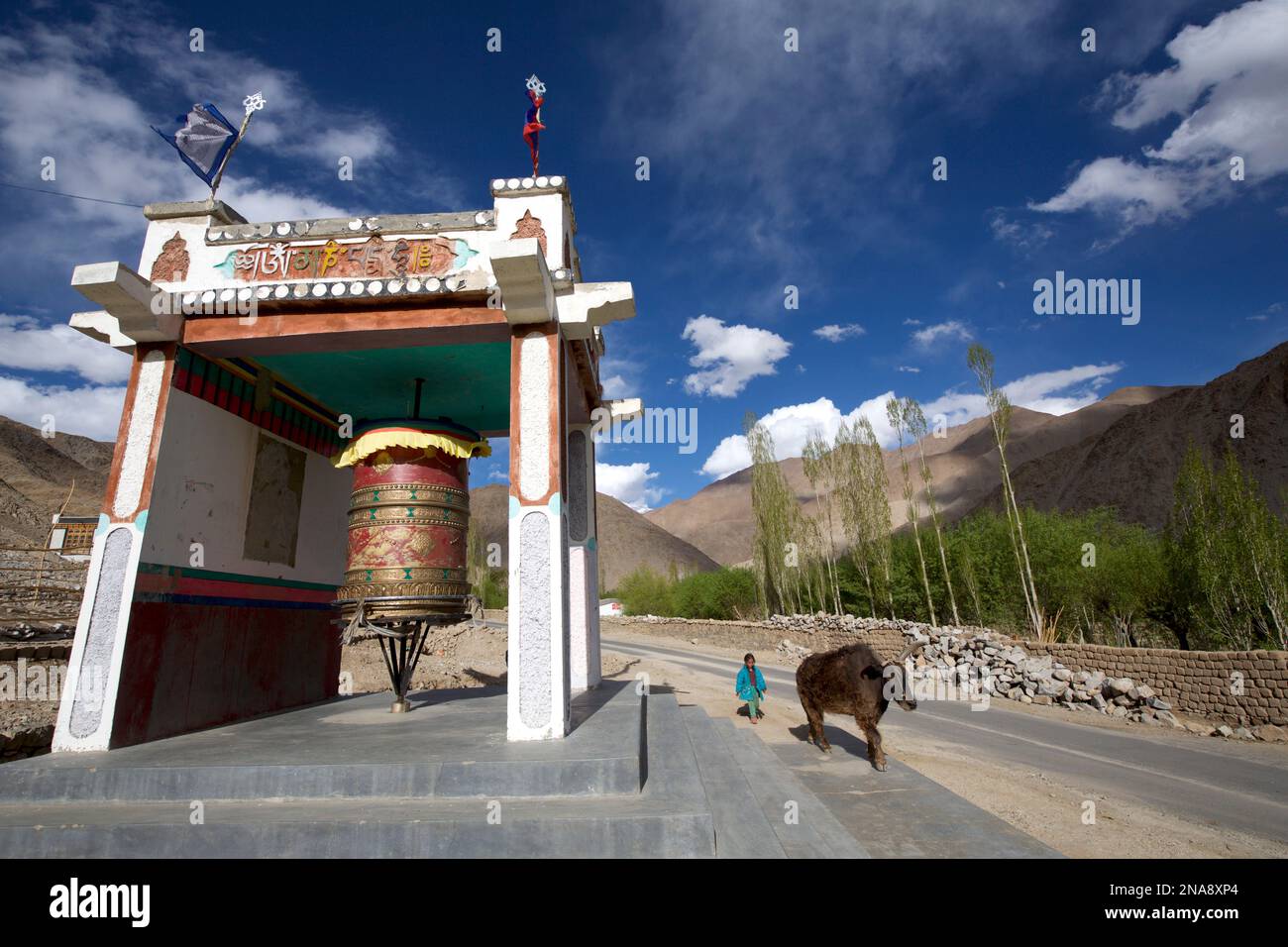 Giant Buddhist prayer wheel and girl with domesticated yak in rural ...